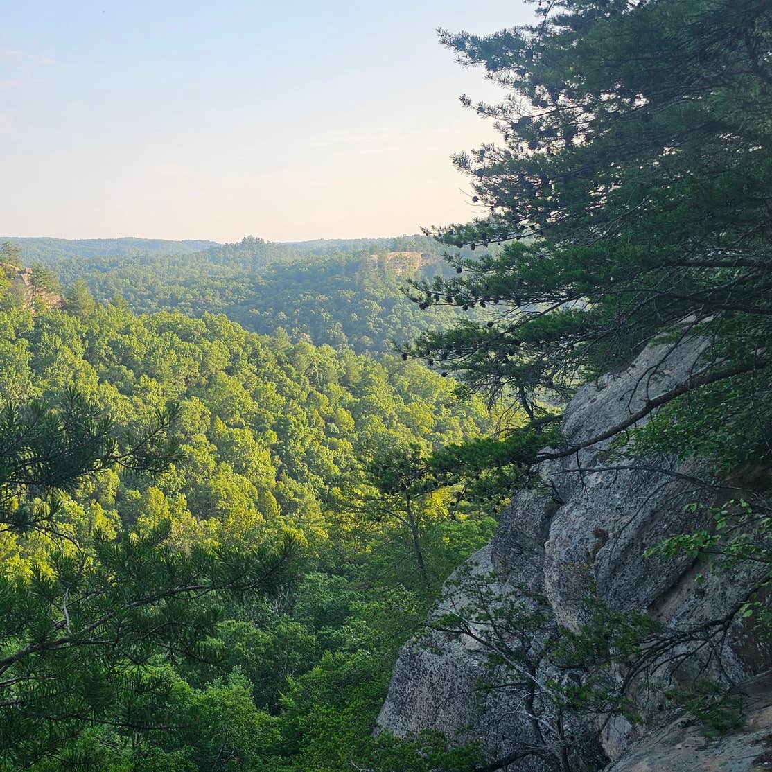 Koomer Ridge Campground — Daniel Boone National Forest | Pine Ridge ...