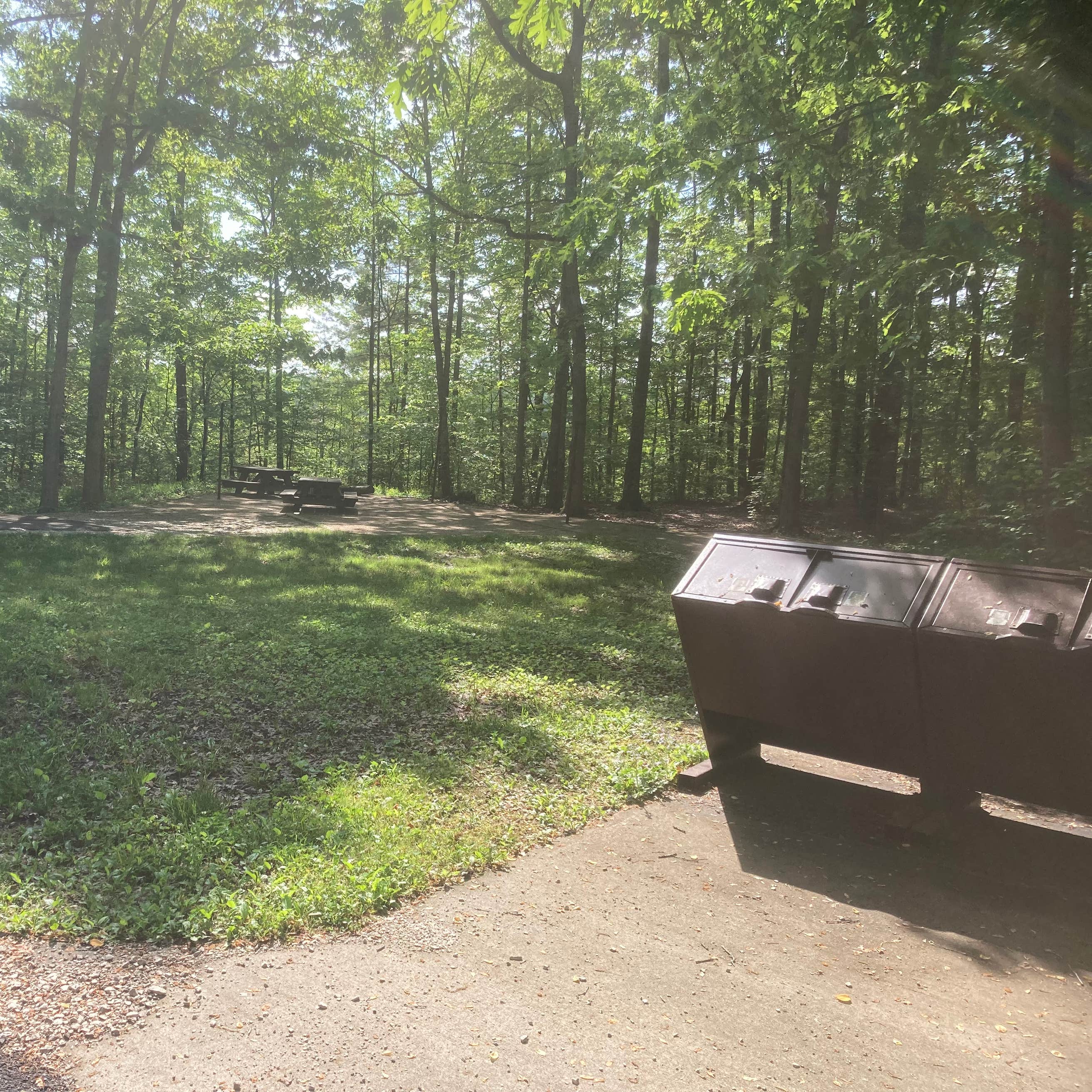Koomer Ridge Campground — Daniel Boone National Forest | Pine Ridge ...