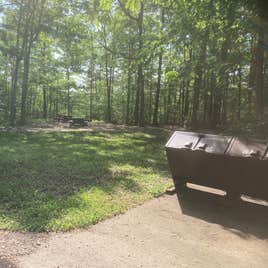 Koomer Ridge Campground — Daniel Boone National Forest | Pine Ridge ...