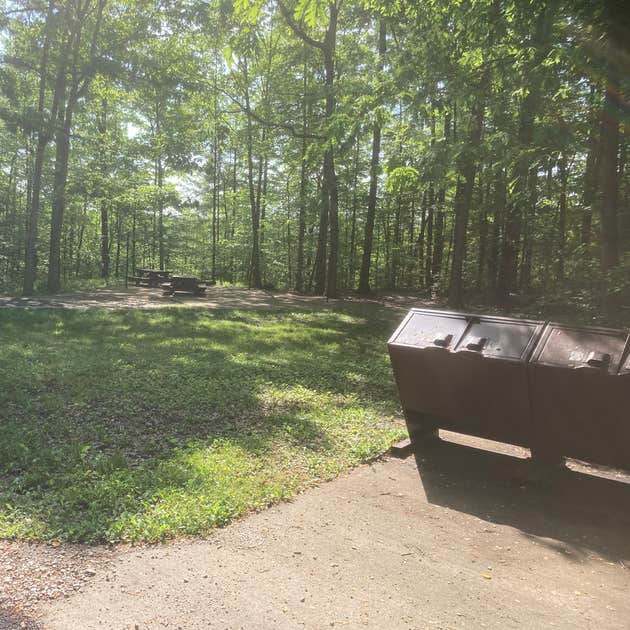 Koomer Ridge Campground — Daniel Boone National Forest | Pine Ridge ...