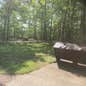 Koomer Ridge Campground — Daniel Boone National Forest | Pine Ridge ...