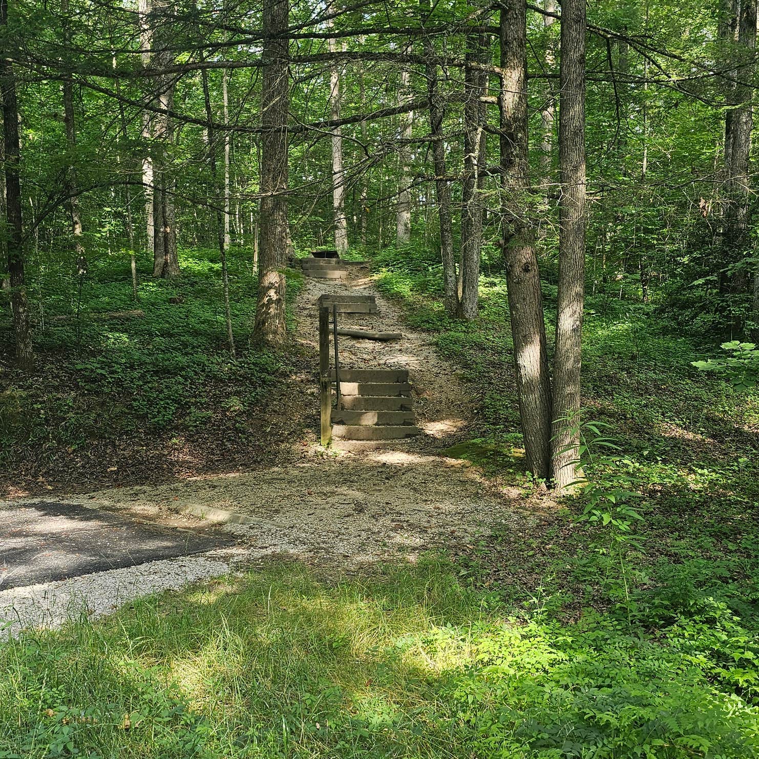 Koomer Ridge Campground — Daniel Boone National Forest | Pine Ridge, KY