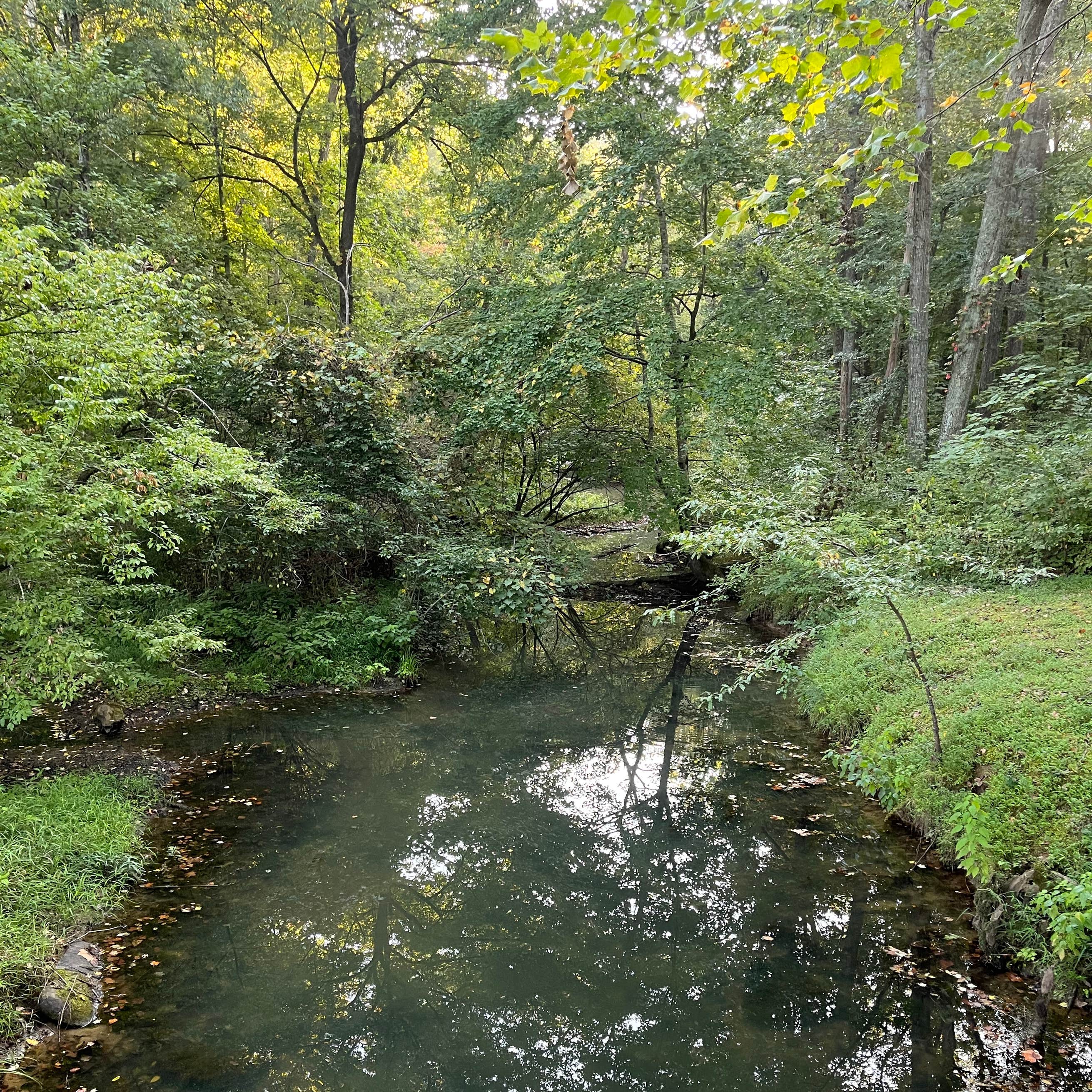 Pennyrile Forest State Resort Park Camping | Dawson Springs, Kentucky