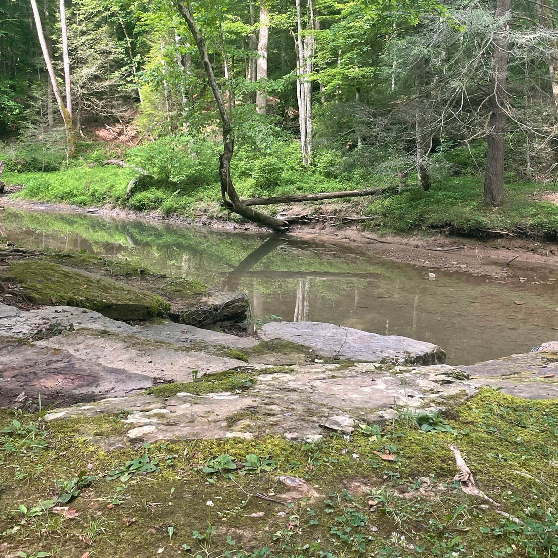 Turkey Foot Campground | McKee, KY