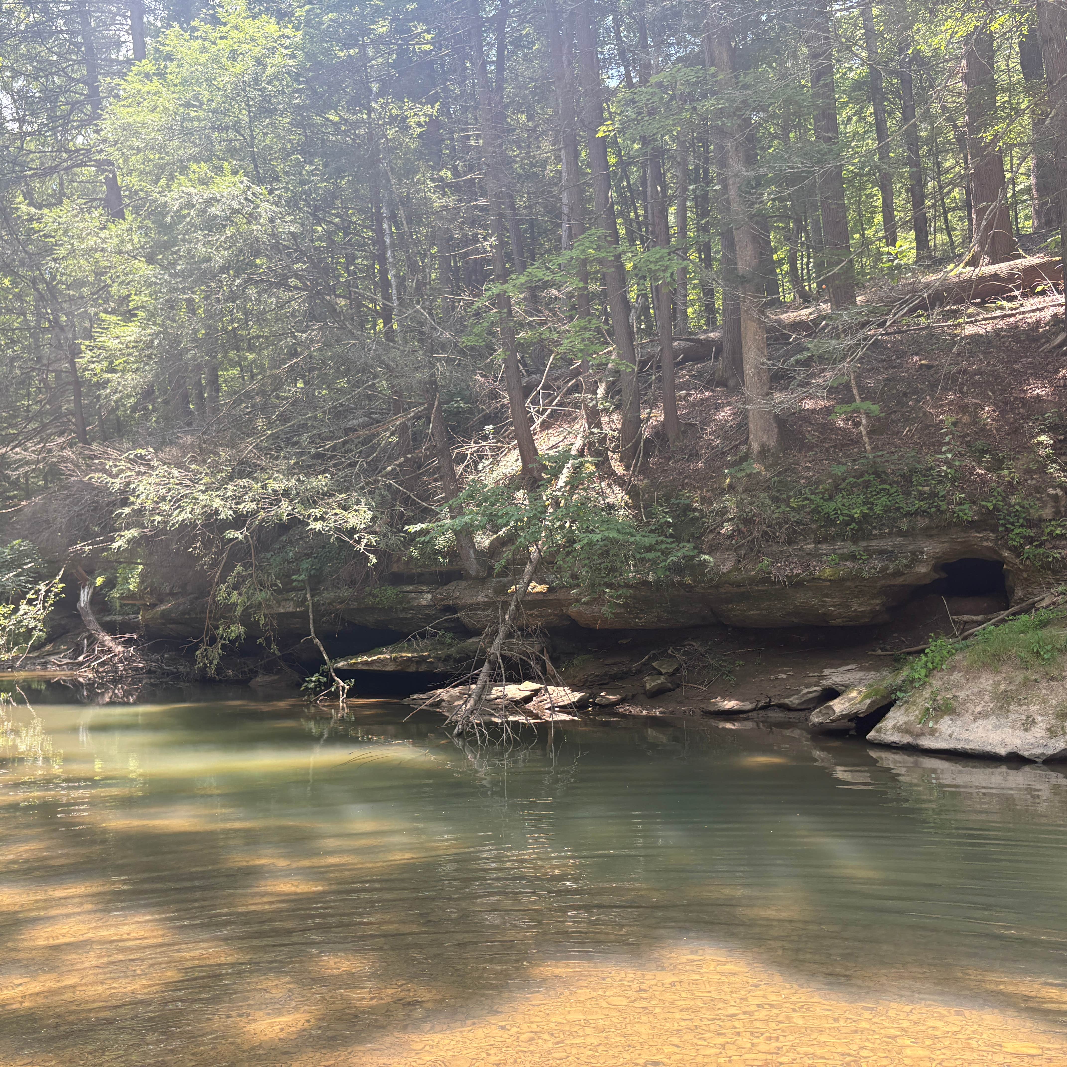 Turkey Foot Campground | McKee, Kentucky