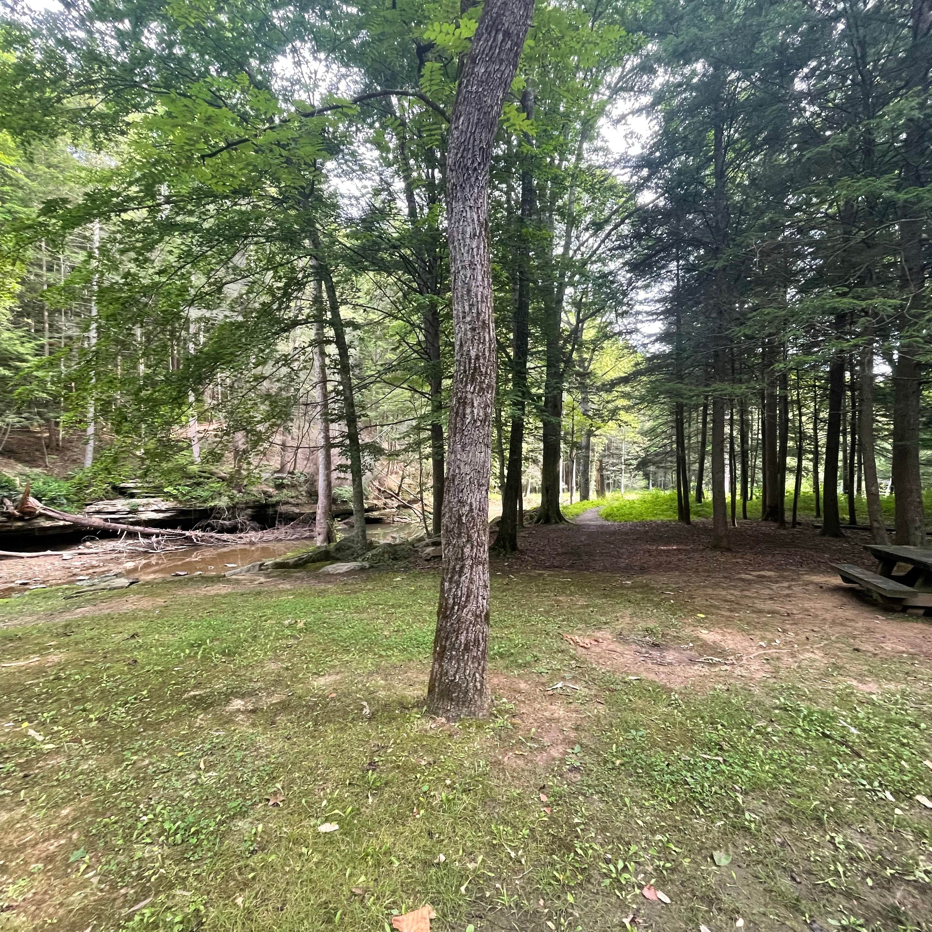 Turkey Foot Campground | McKee, Kentucky