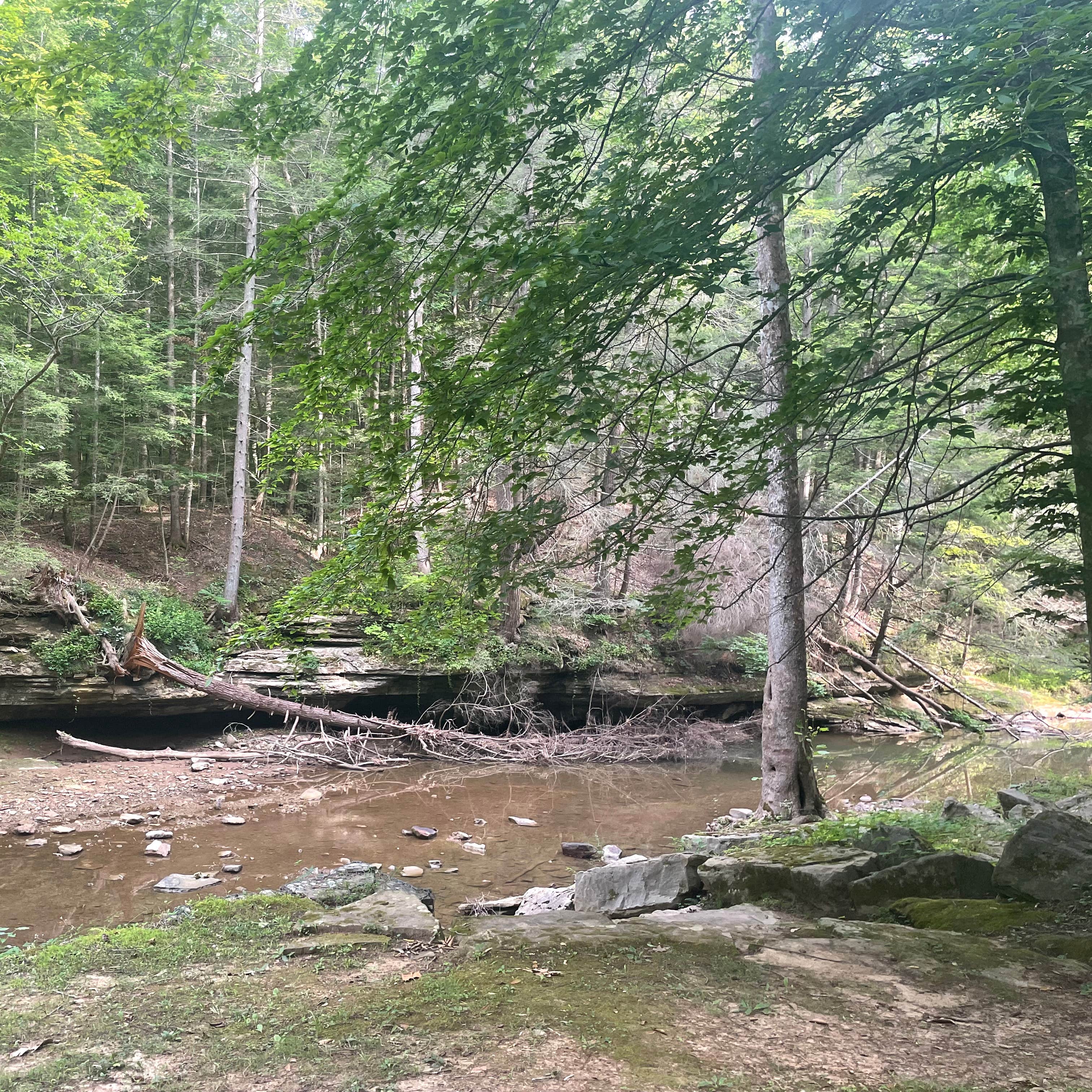 Turkey Foot Campground | McKee, Kentucky