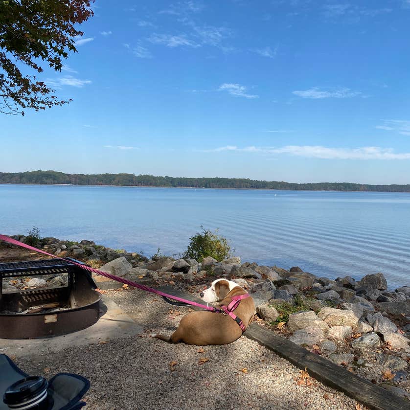 Bullocksville — Kerr Lake State Recreation Area Camping | Manson, NC