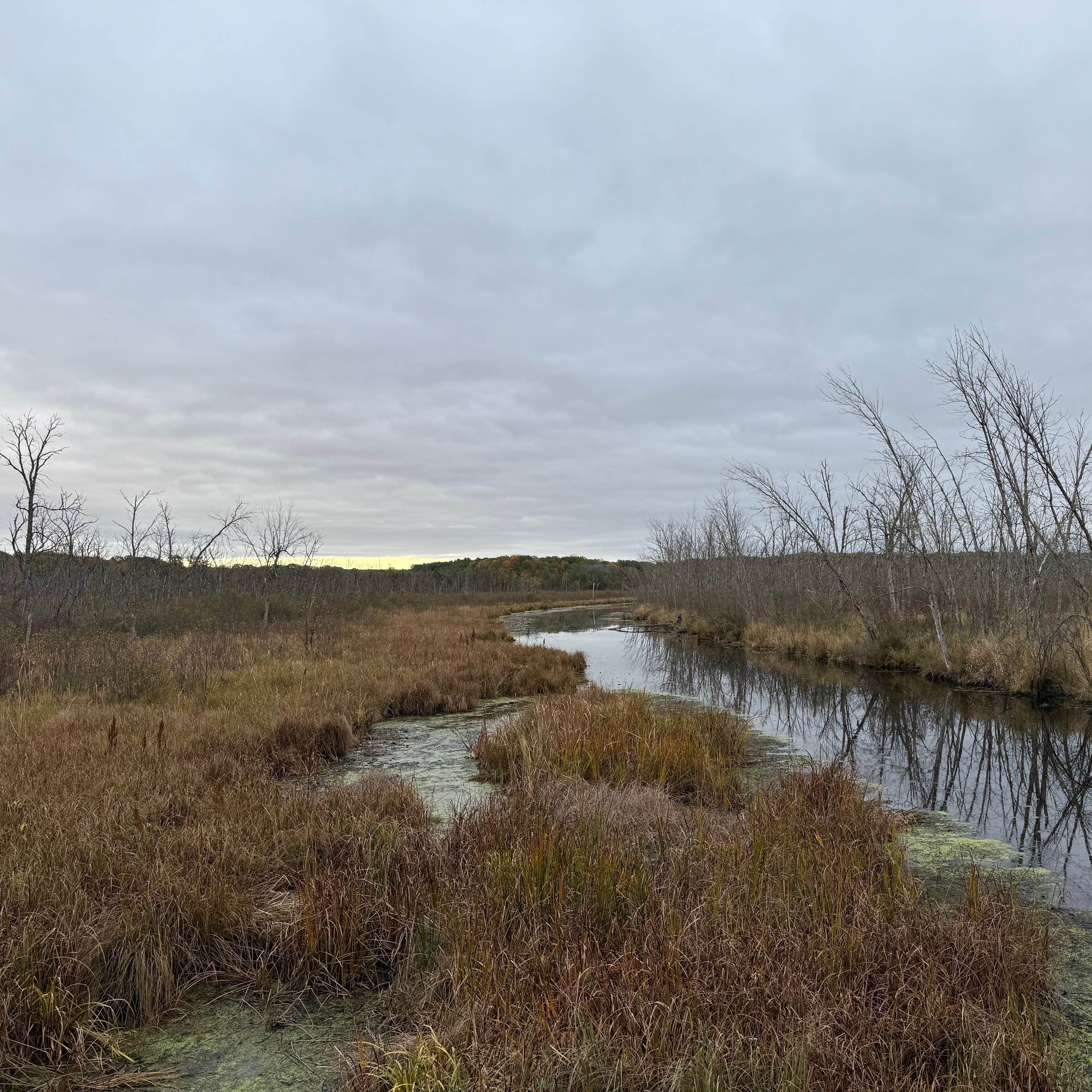 Mauthe Lake Campground — Kettle Moraine State Forest-Northern Unit ...
