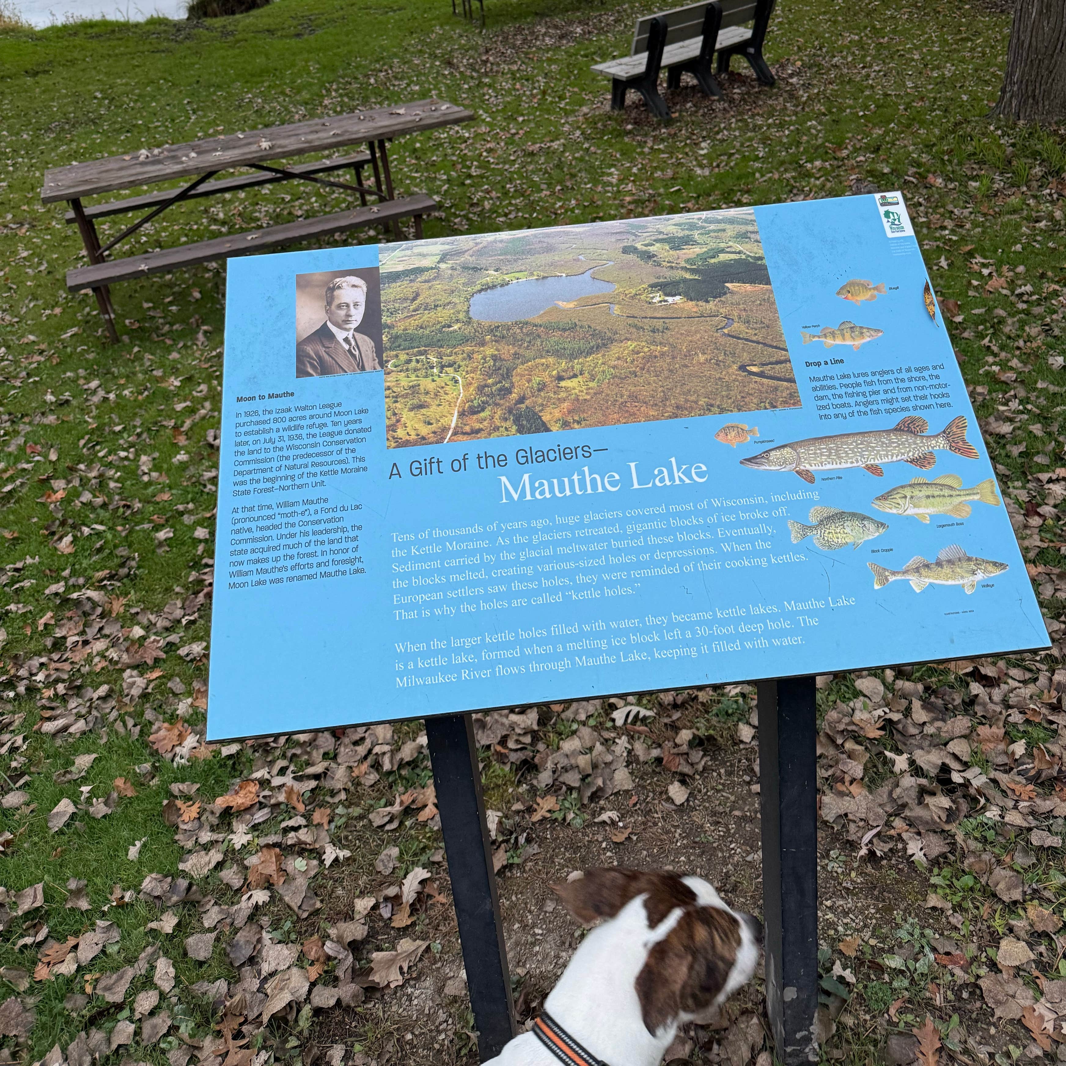 Mauthe Lake Campground — Kettle Moraine State Forest-Northern Unit ...