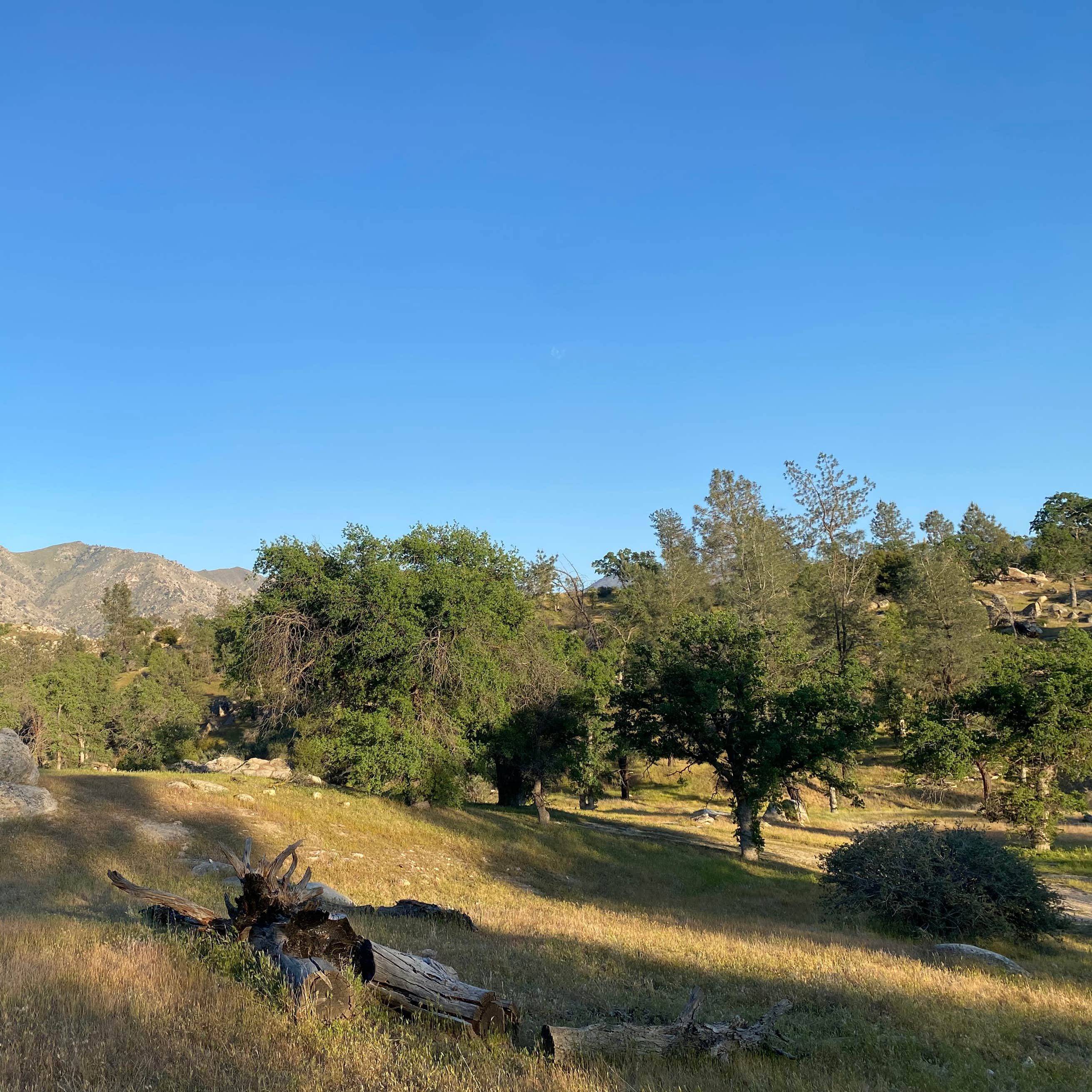 Keyesville Recreation Area Dispersed Camping | Lake Isabella, CA