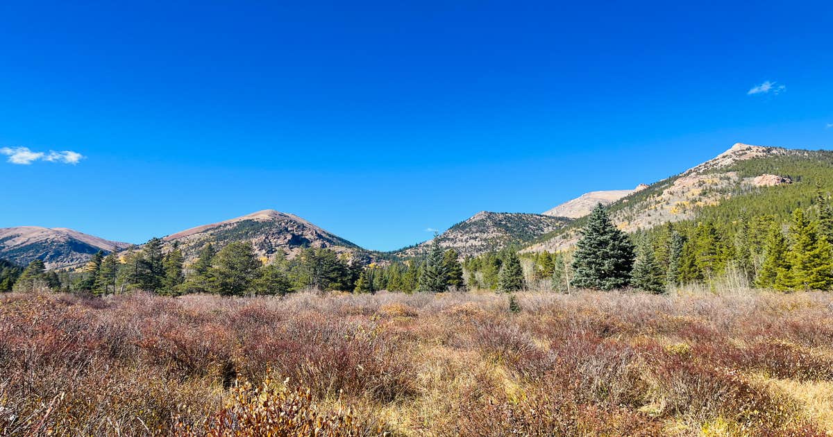 Kirby Gulch Camping | Montezuma, Colorado