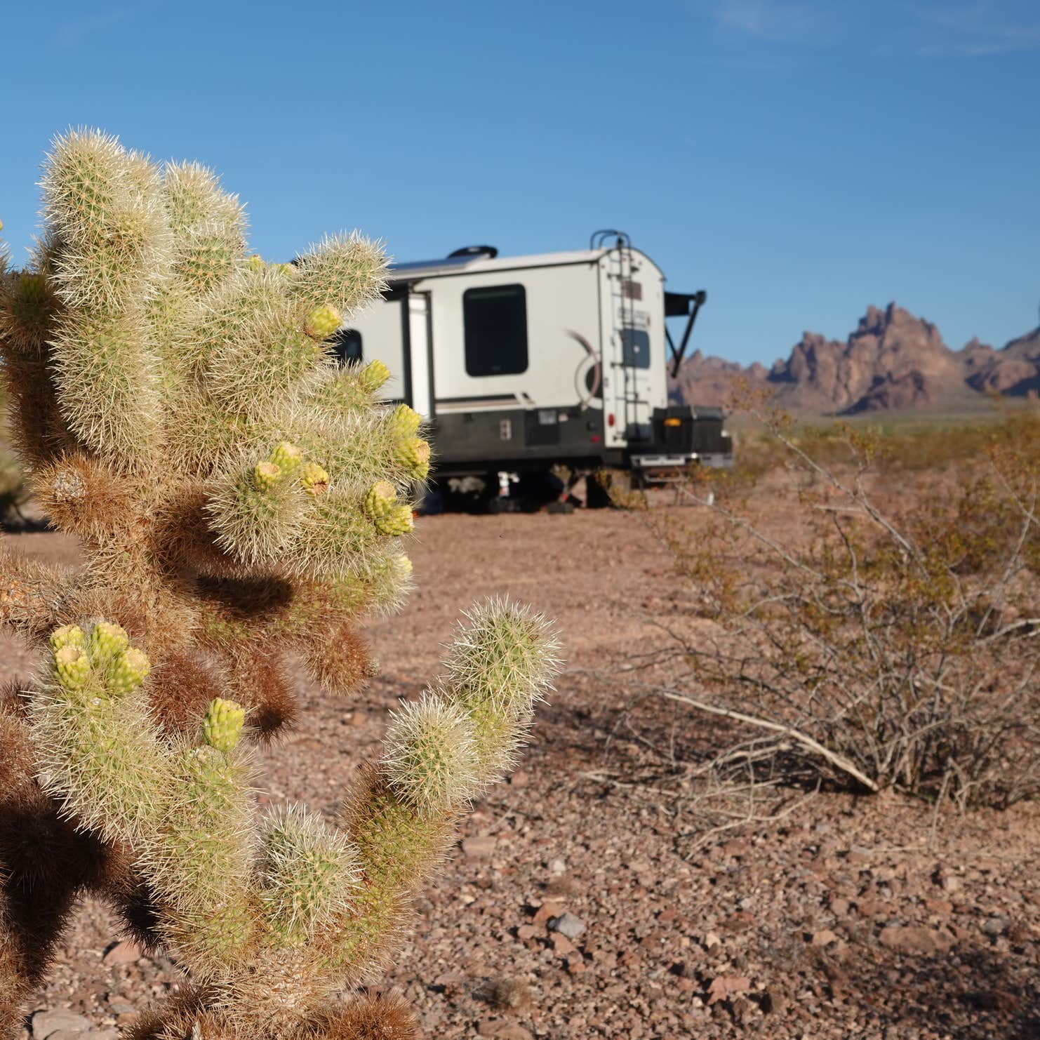 Kofa Queen Canyon Camping | Quartzsite, Arizona