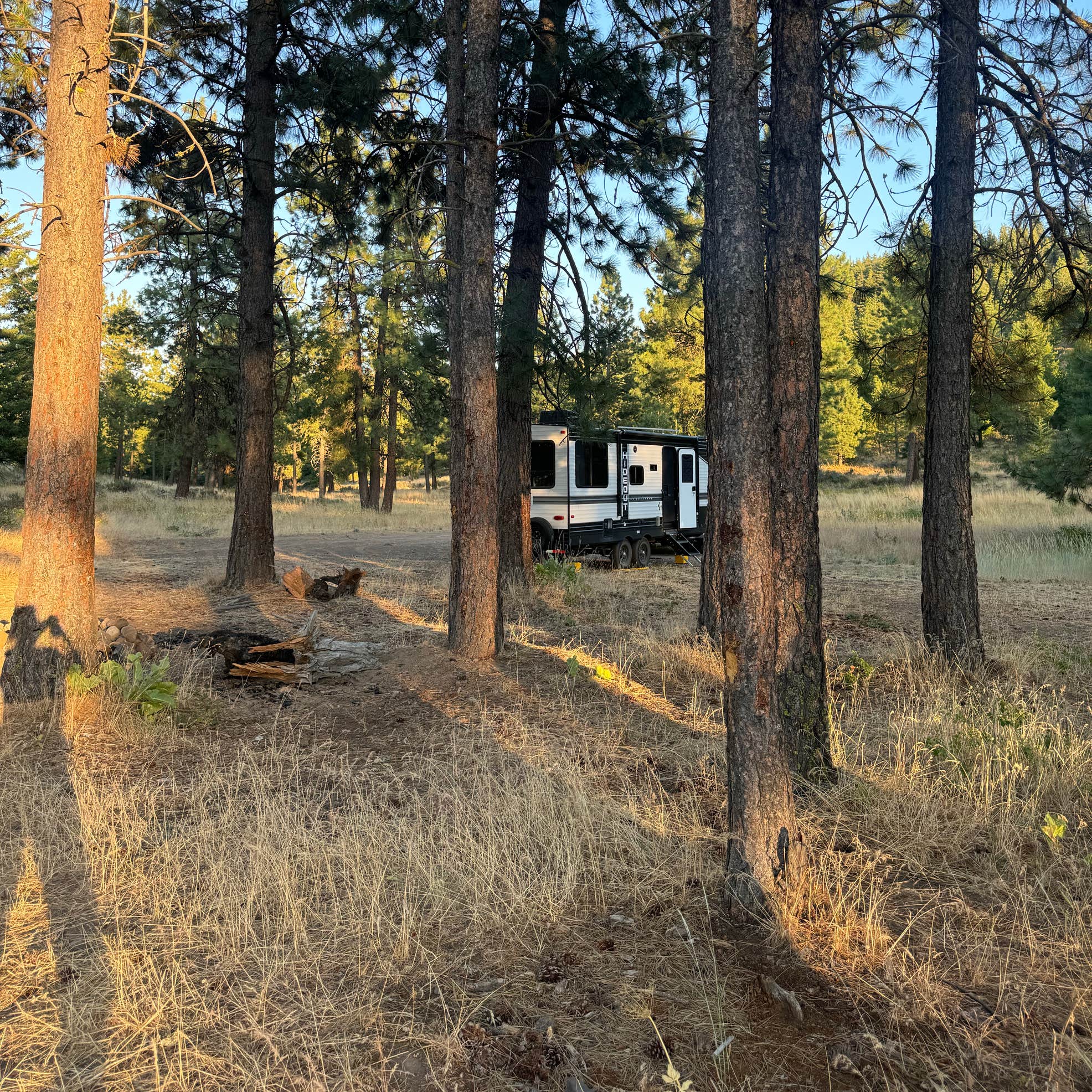 L.T. Murray Wildlife Area Camping | Thorp, Washington