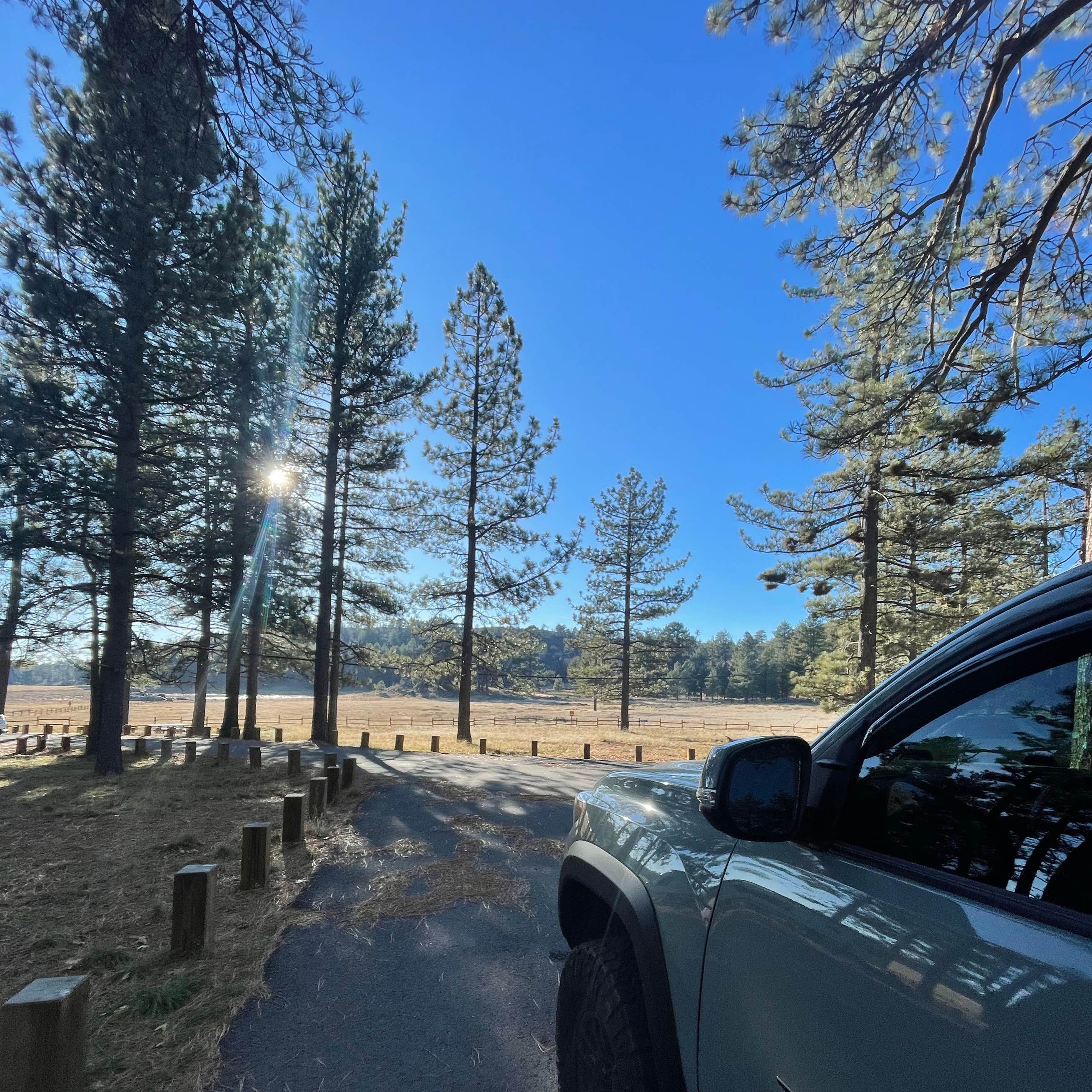 Laguna Campground | Mount Laguna, California