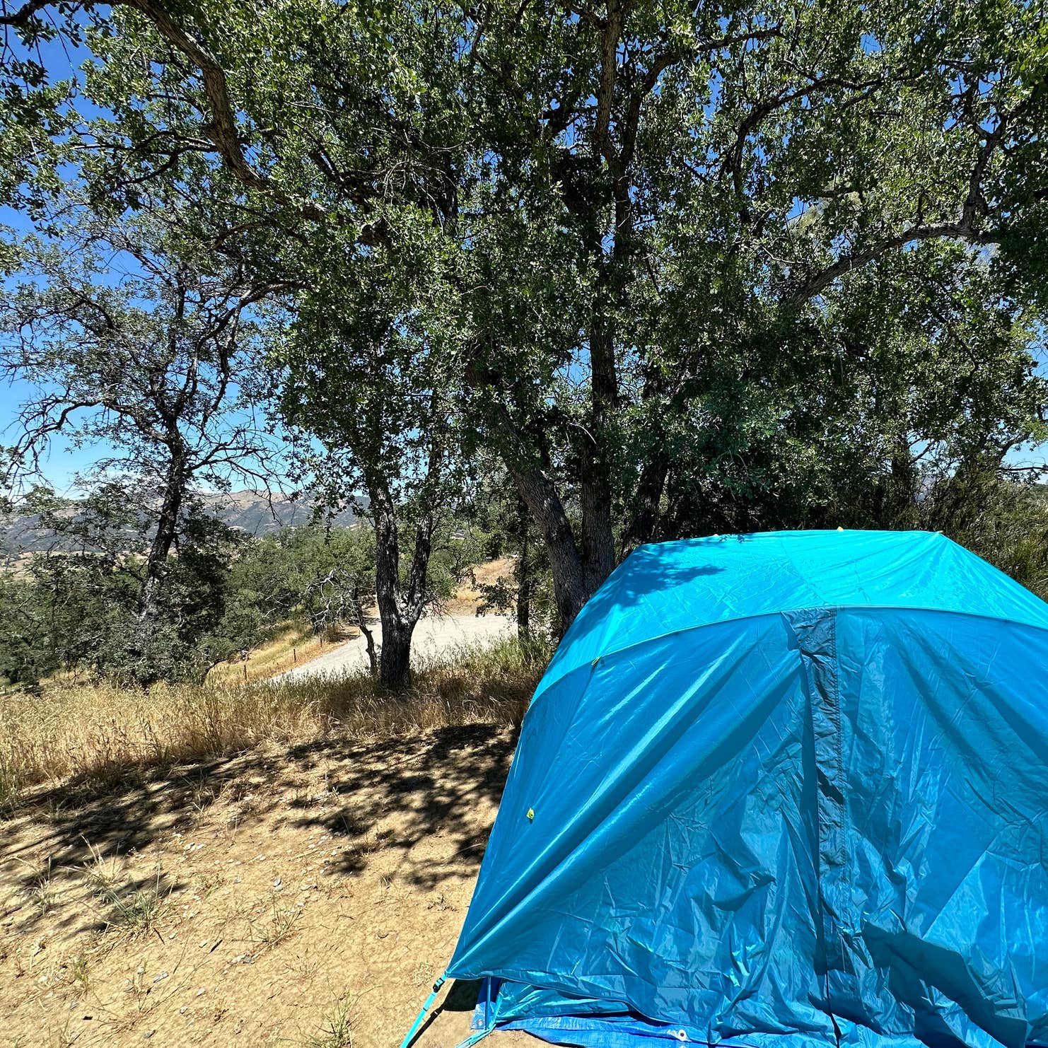 Laguna Mountain Campground | Paicines, CA