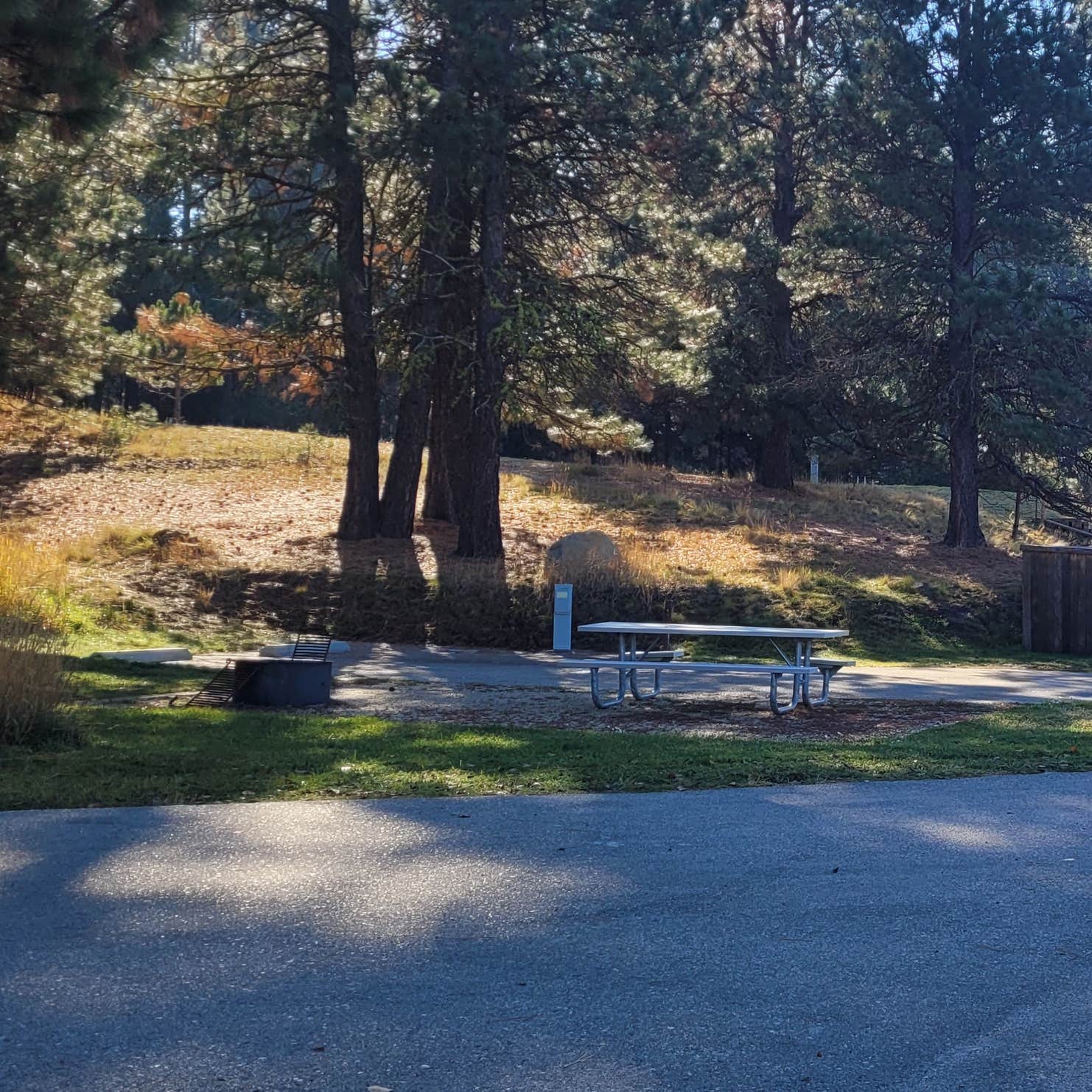 Ridgeview Campground — Lake Cascade State Park | Cascade, Idaho