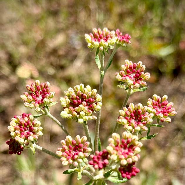 Lake Creek Youth Camp | Seneca, Oregon