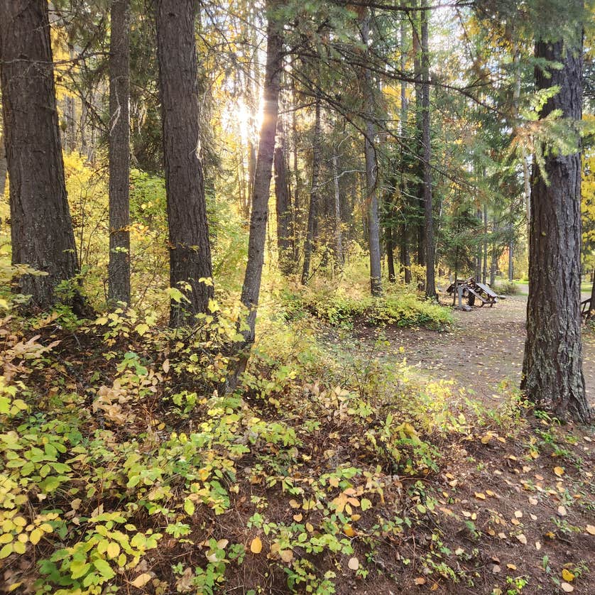 Lake Five Resort Camping | West Glacier, MT