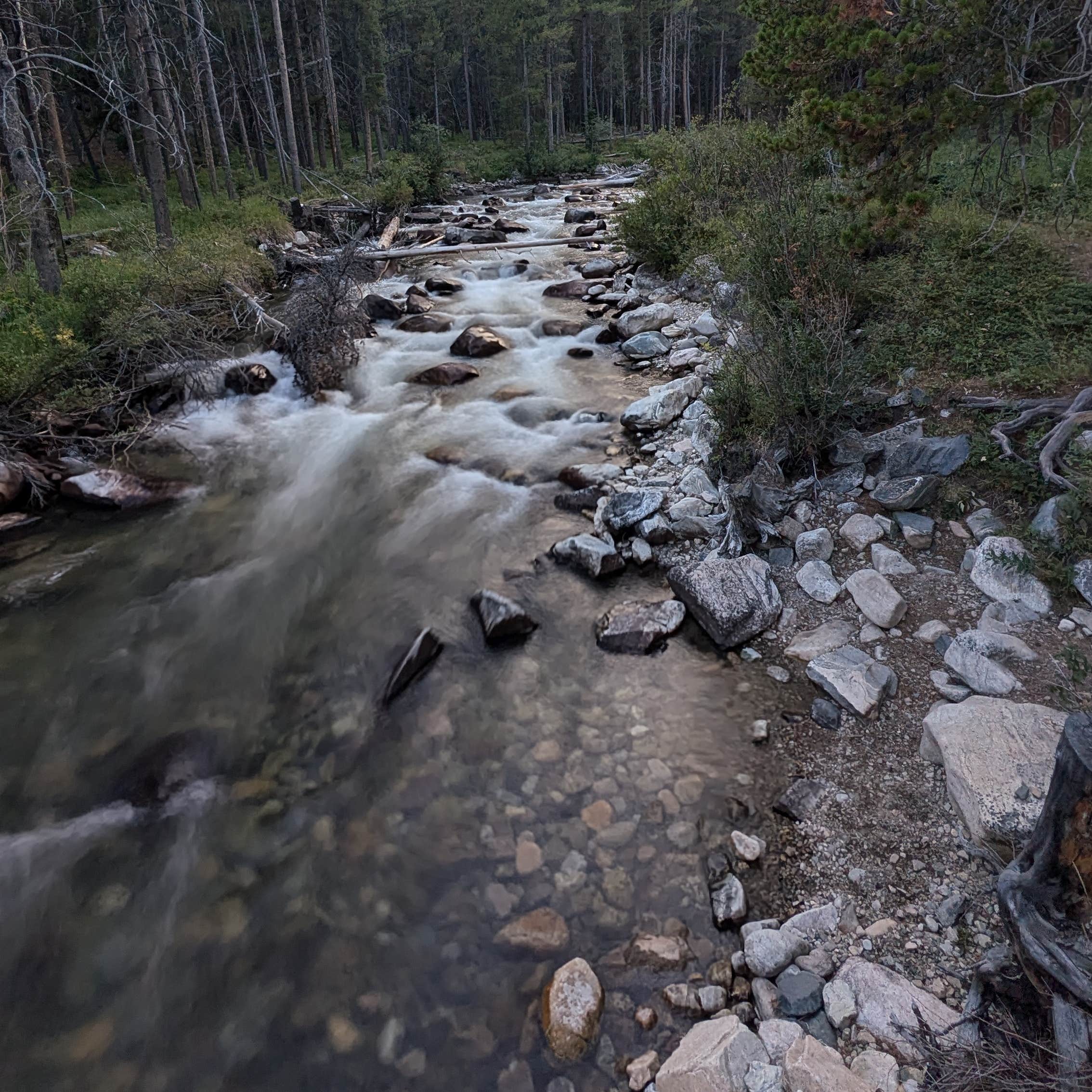 Lake Fork Roadside Camp | Red Lodge, Montana