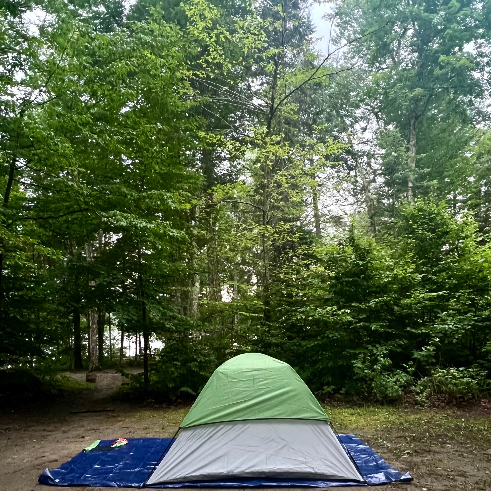 Lake Harris Campground | Minerva, New York