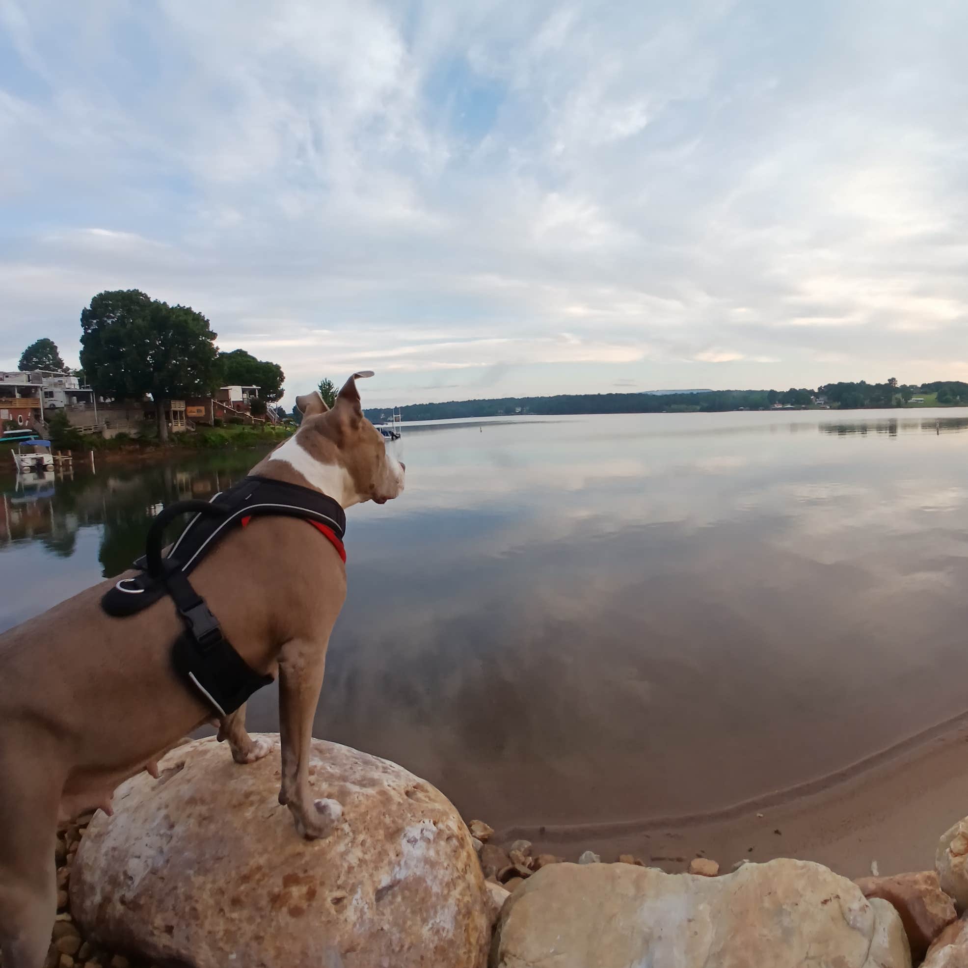 Lake Hickory RV Resort | Conover, North Carolina