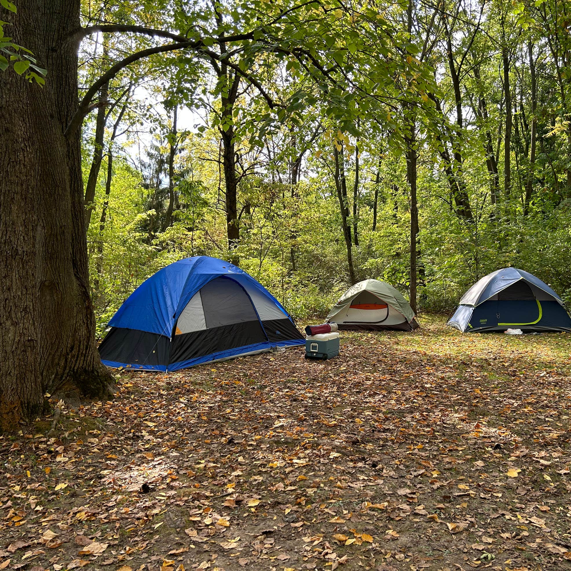 Lake Kegonsa State Park Campground | Stoughton, Wisconsin