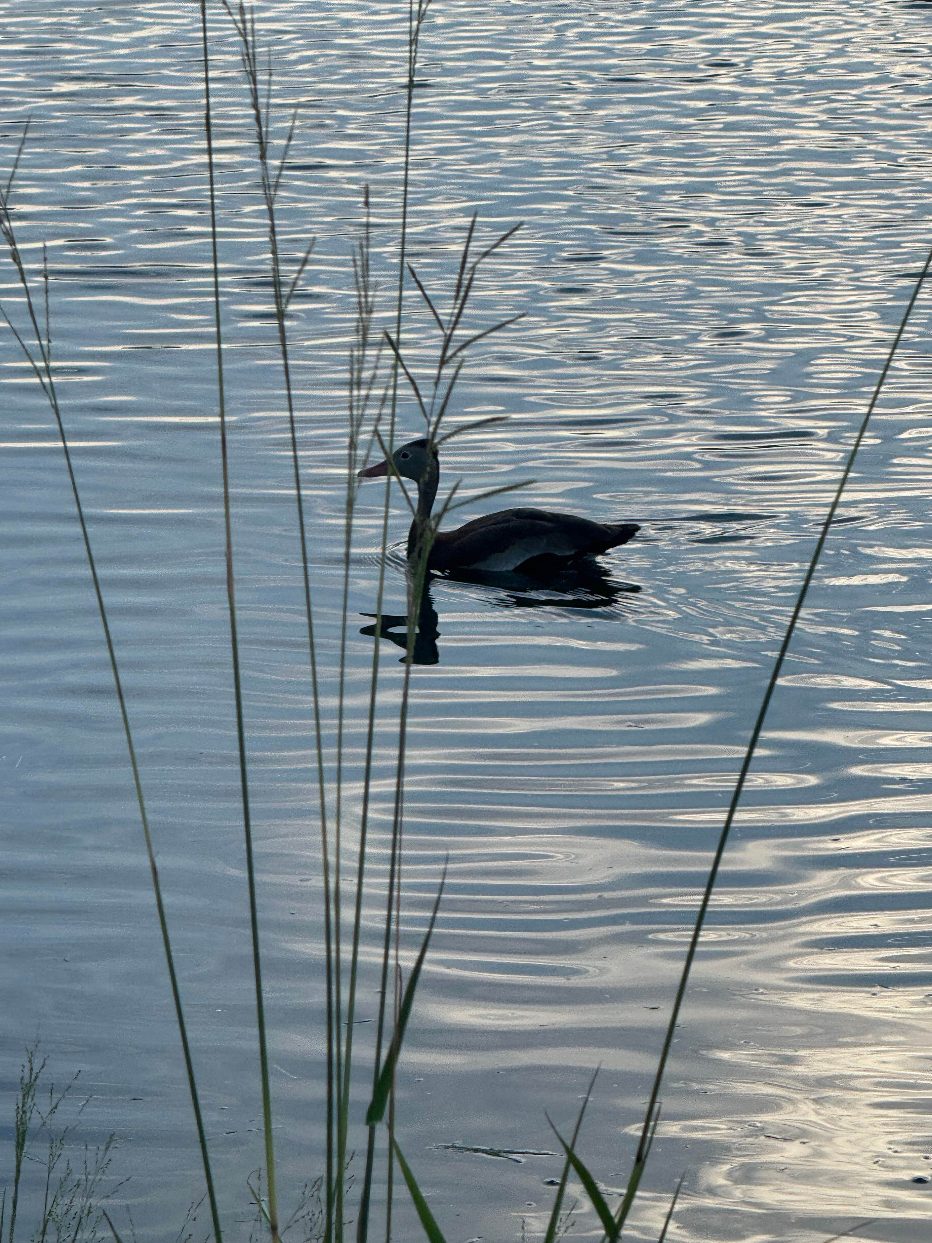 Lake LaCroix RV Resort | Bay St. Louis, Mississippi