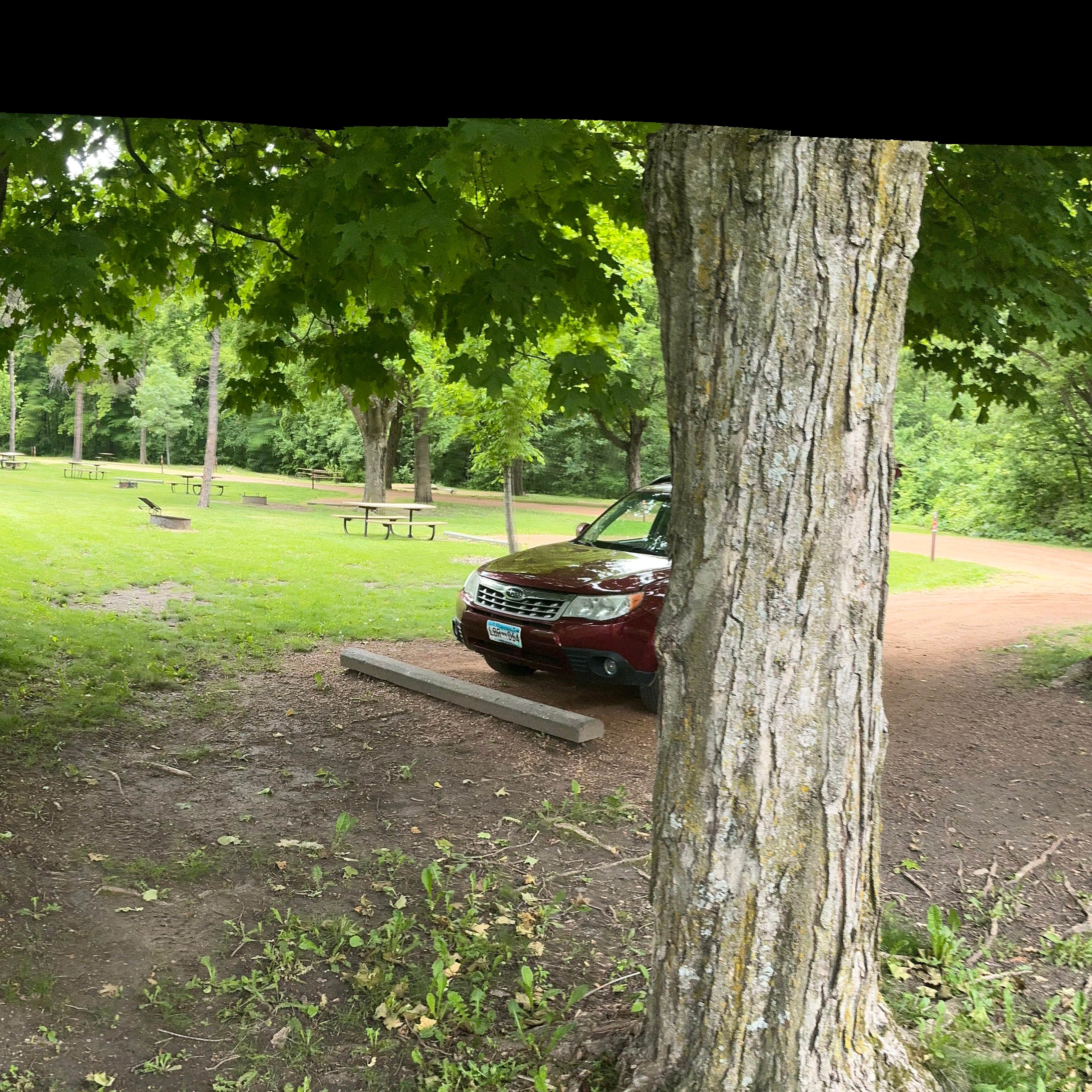Lake Maria State Park Campground | Silver Creek, Minnesota