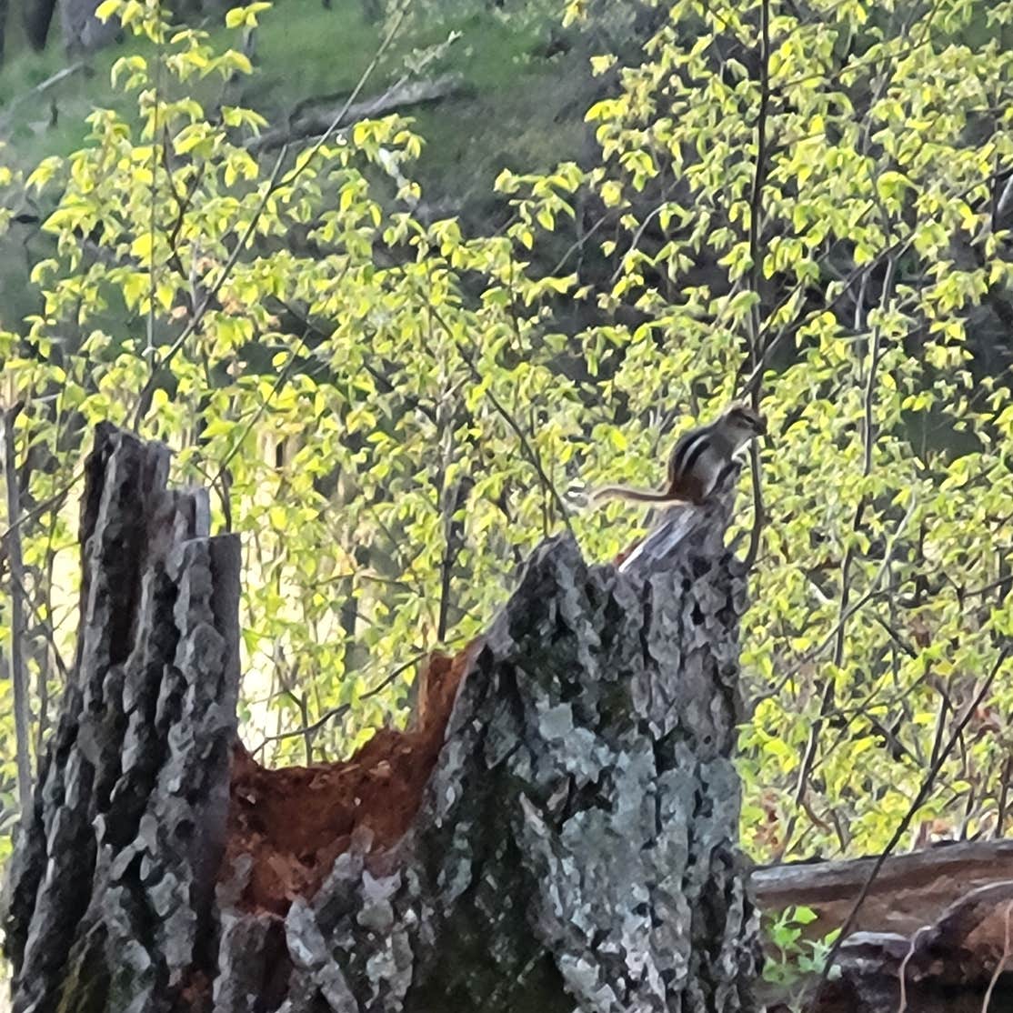 Lake Maria State Park Campground | Silver Creek, Minnesota