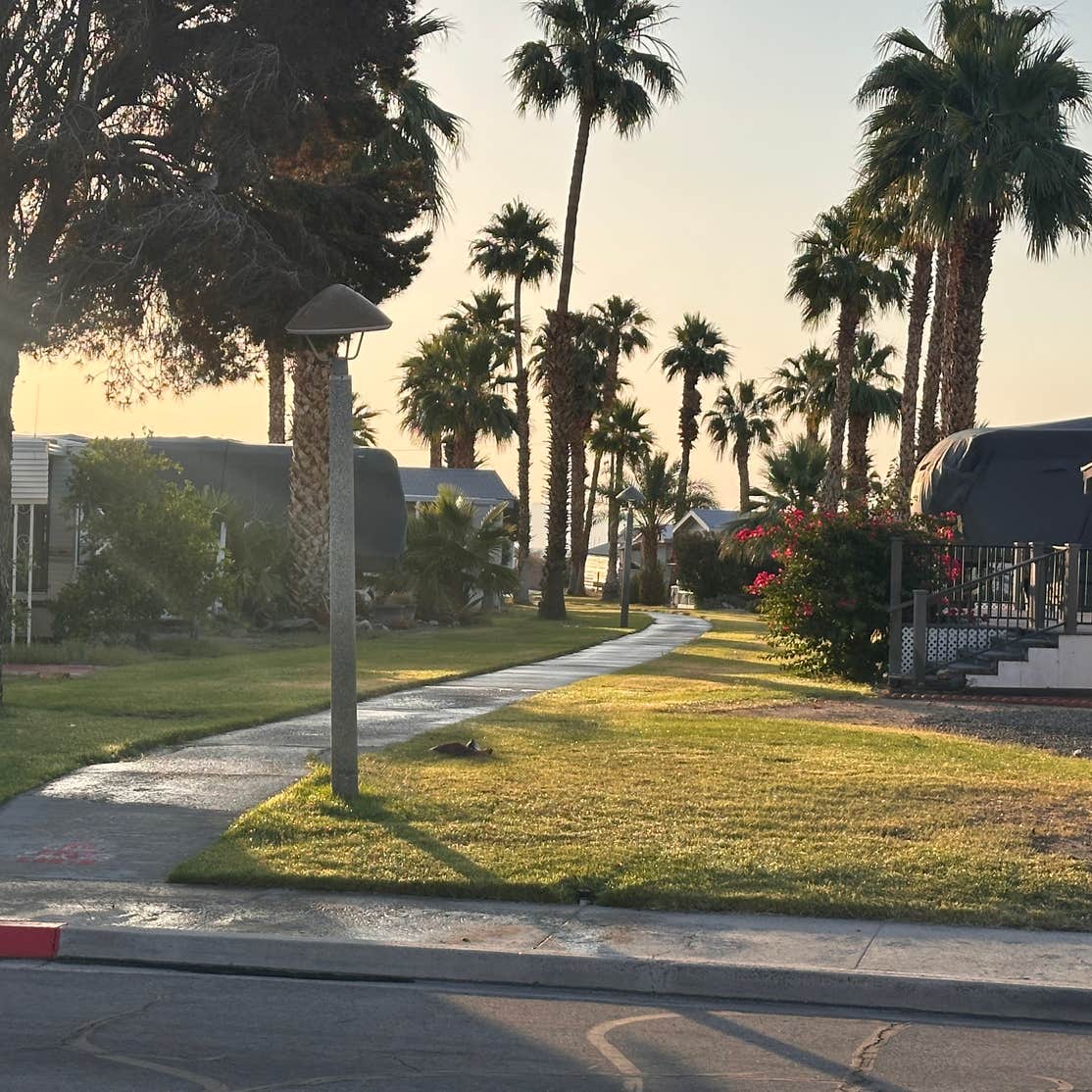 Lake Tamarisk Desert Resort Camping | Niland, California