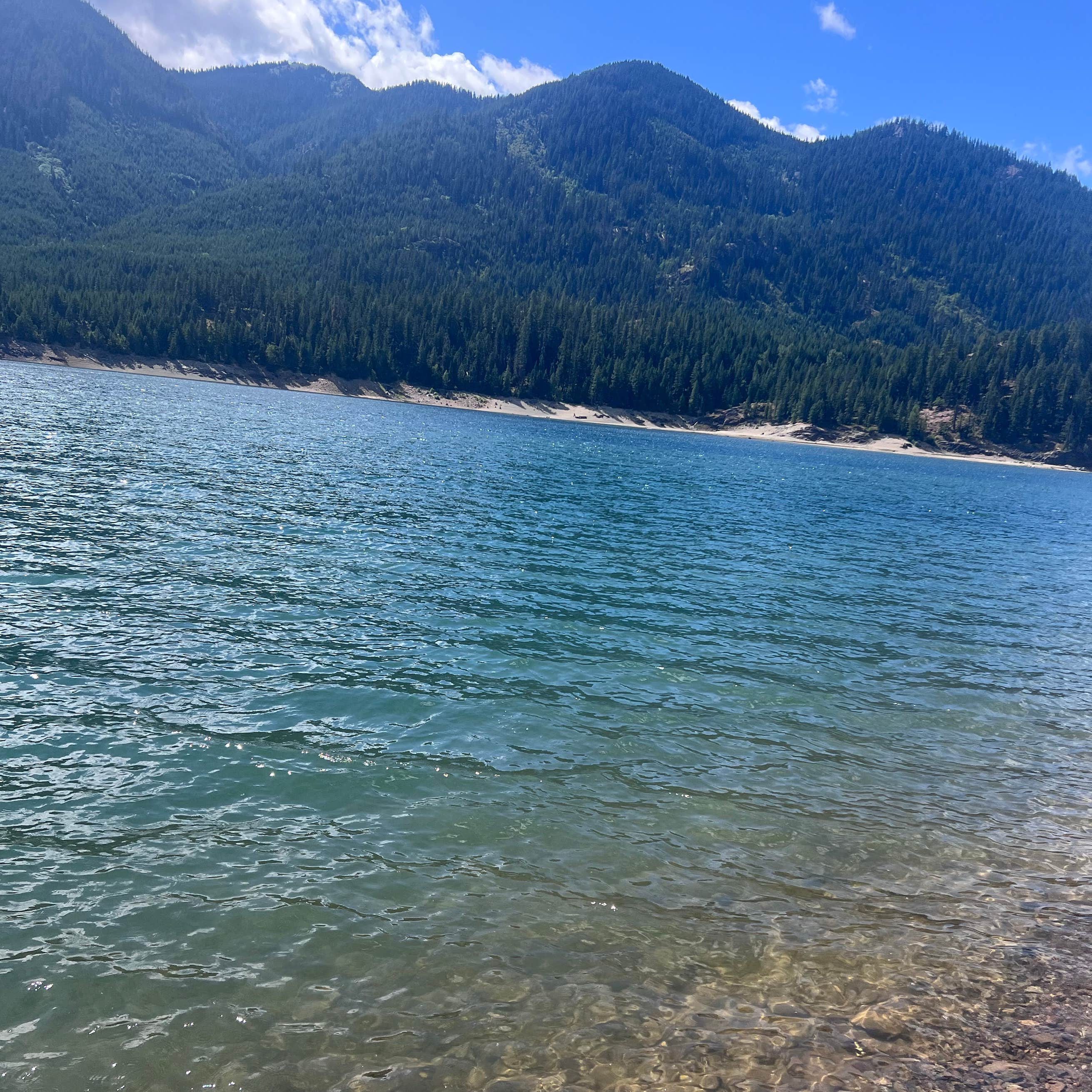 Dry Creek Campground | Roslyn, Washington