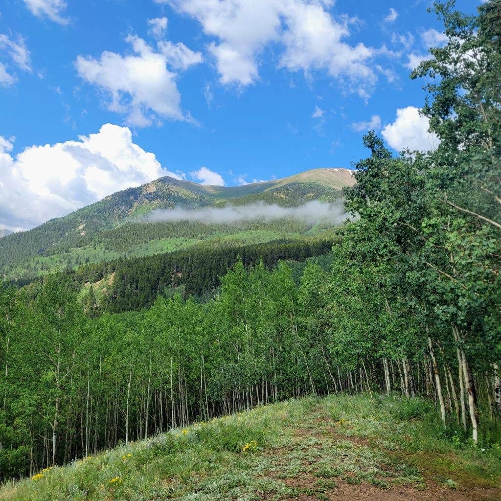 Twin Lakes View Dispersed Camping | Twin Lakes, CO