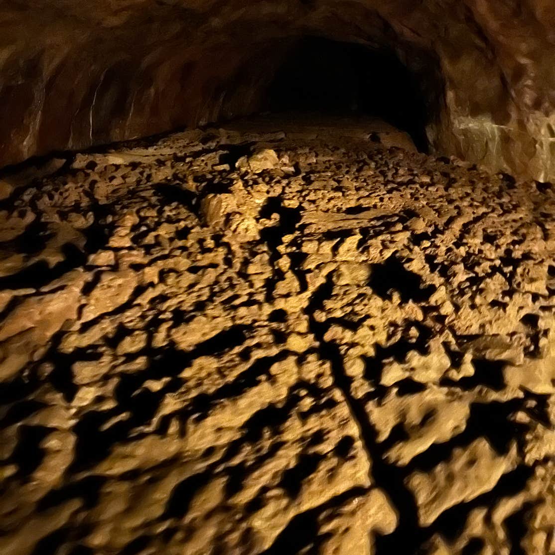 Lava Tube Cave Path on Forest Road 171 Camping | Bellemont, Arizona