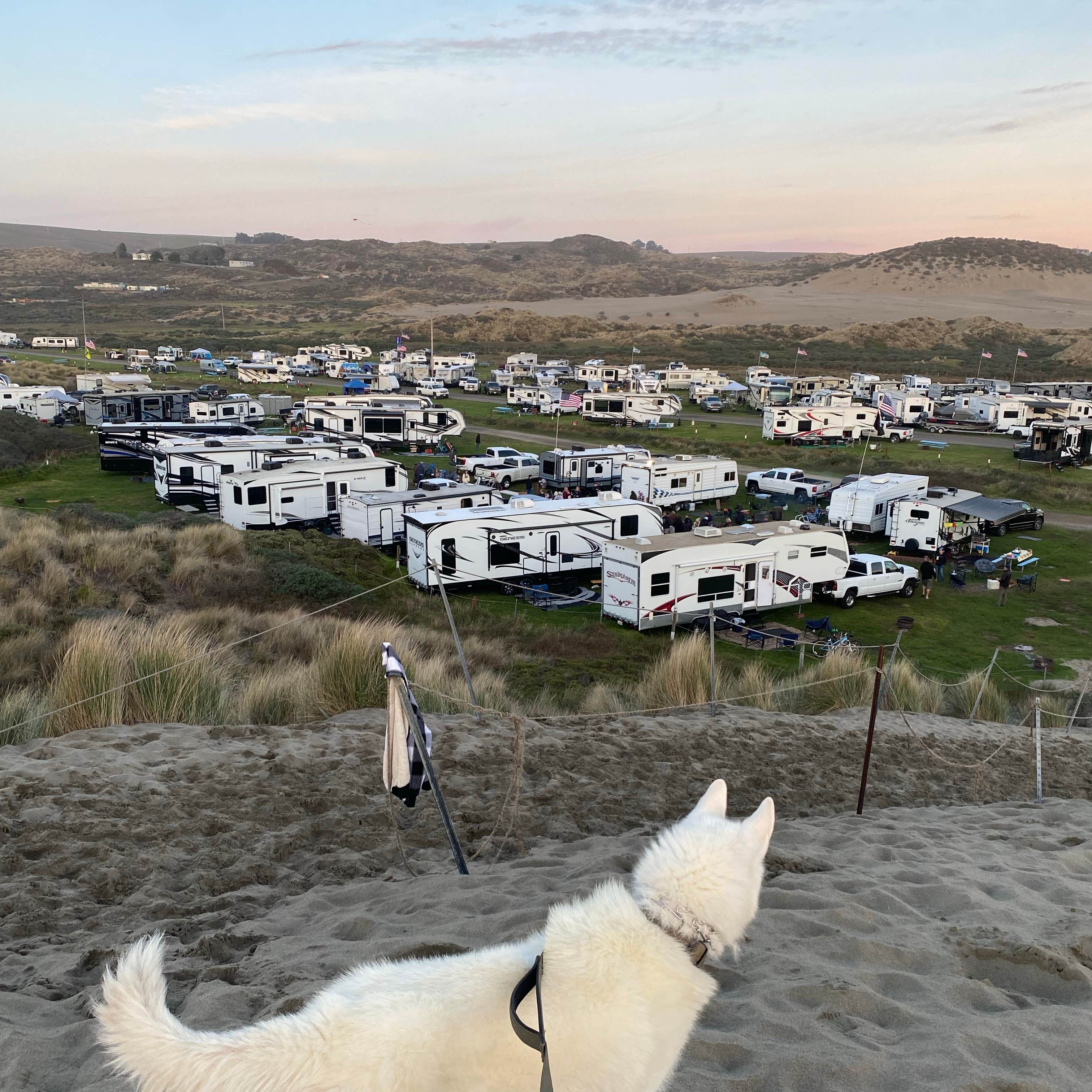 Lawson's Landing Camping | Dillon Beach, California