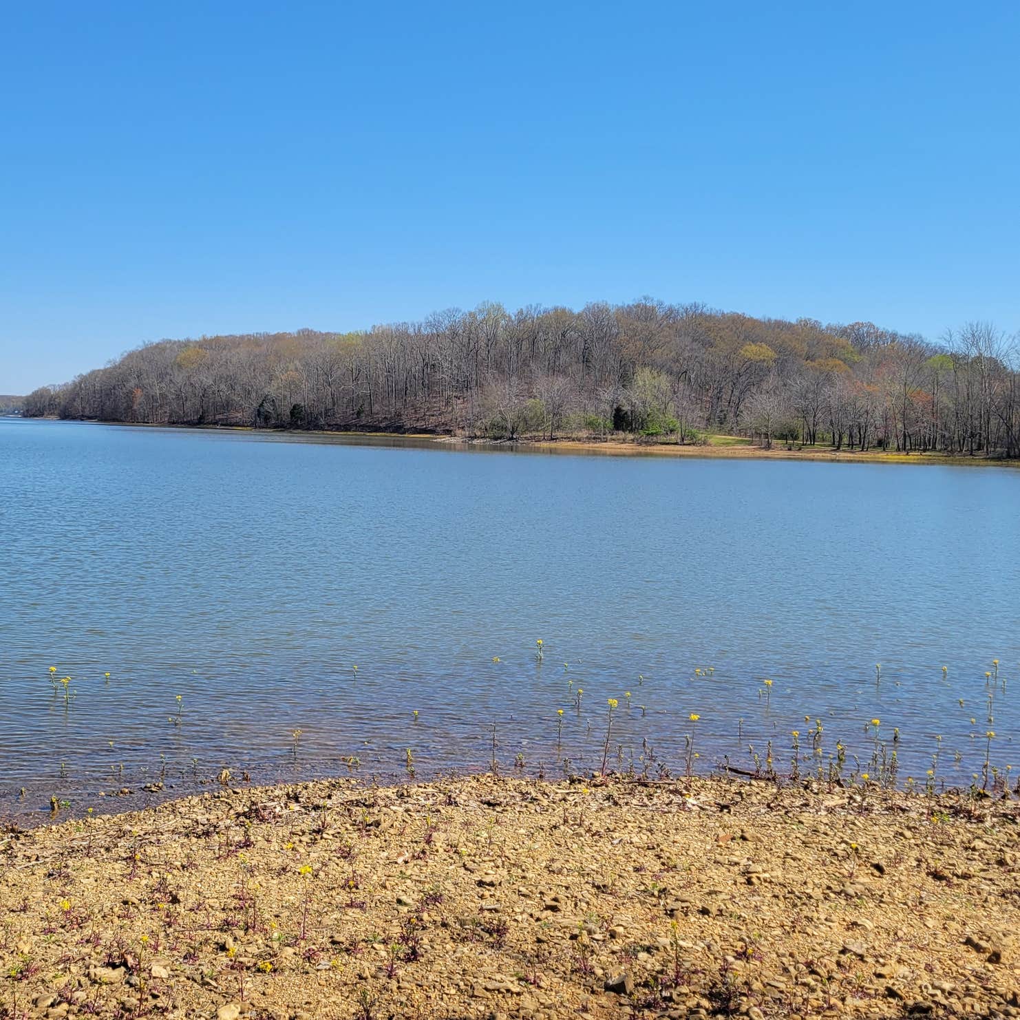 LBL FS154 - Dispersed Camping | Land Between the Lakes National ...