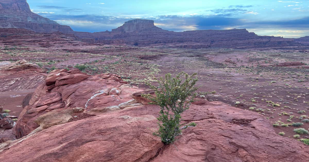 Ledge E Camping | Moab, Utah