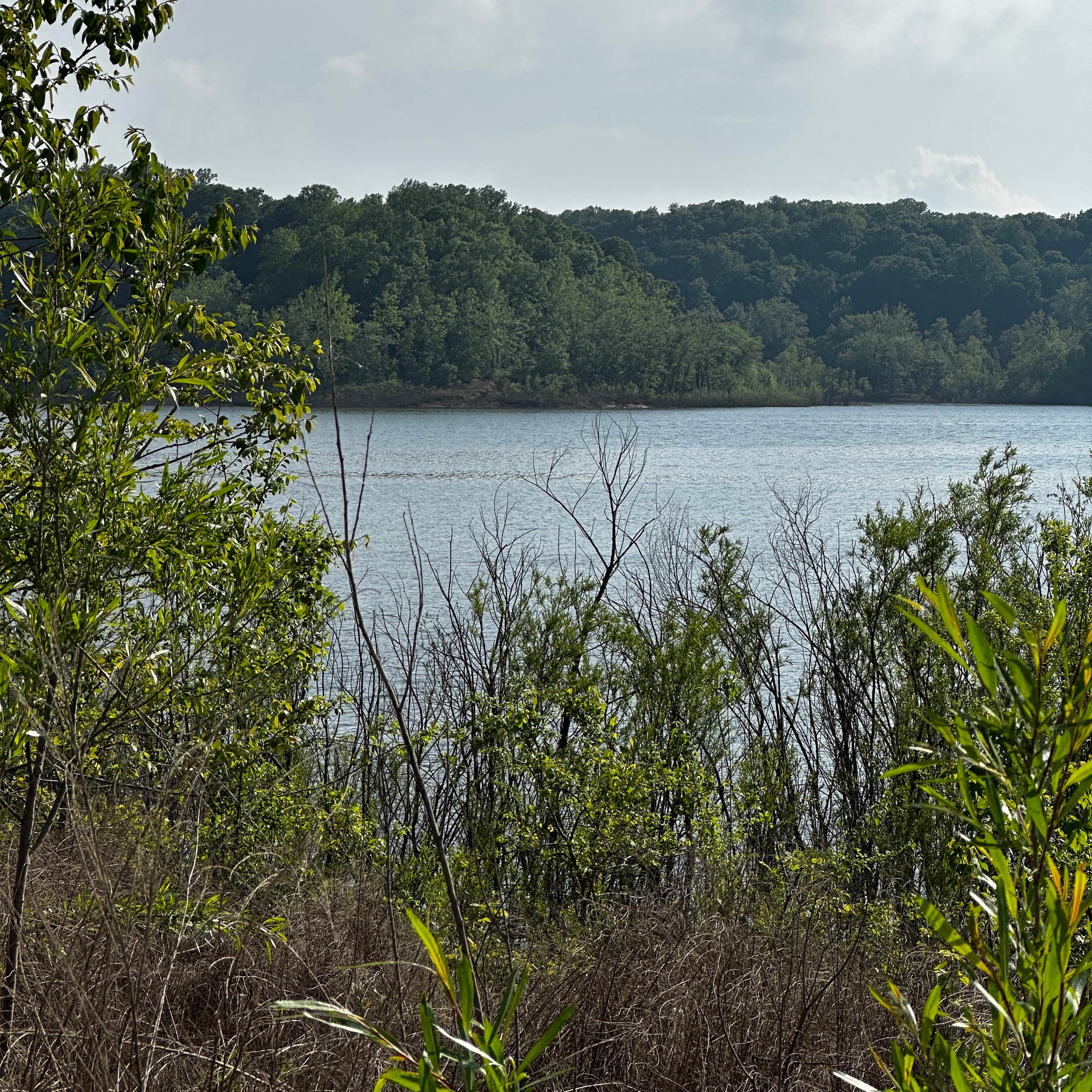 Lieber State Recreation Area Campground | Cloverdale, Indiana