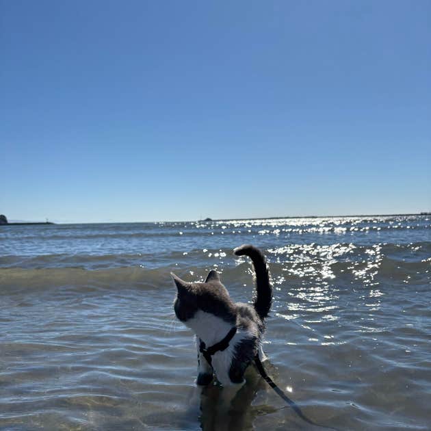 Lighthouse Cove RV Park | Crescent City, California