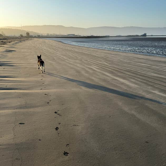 Lighthouse Cove RV Park | Crescent City, California