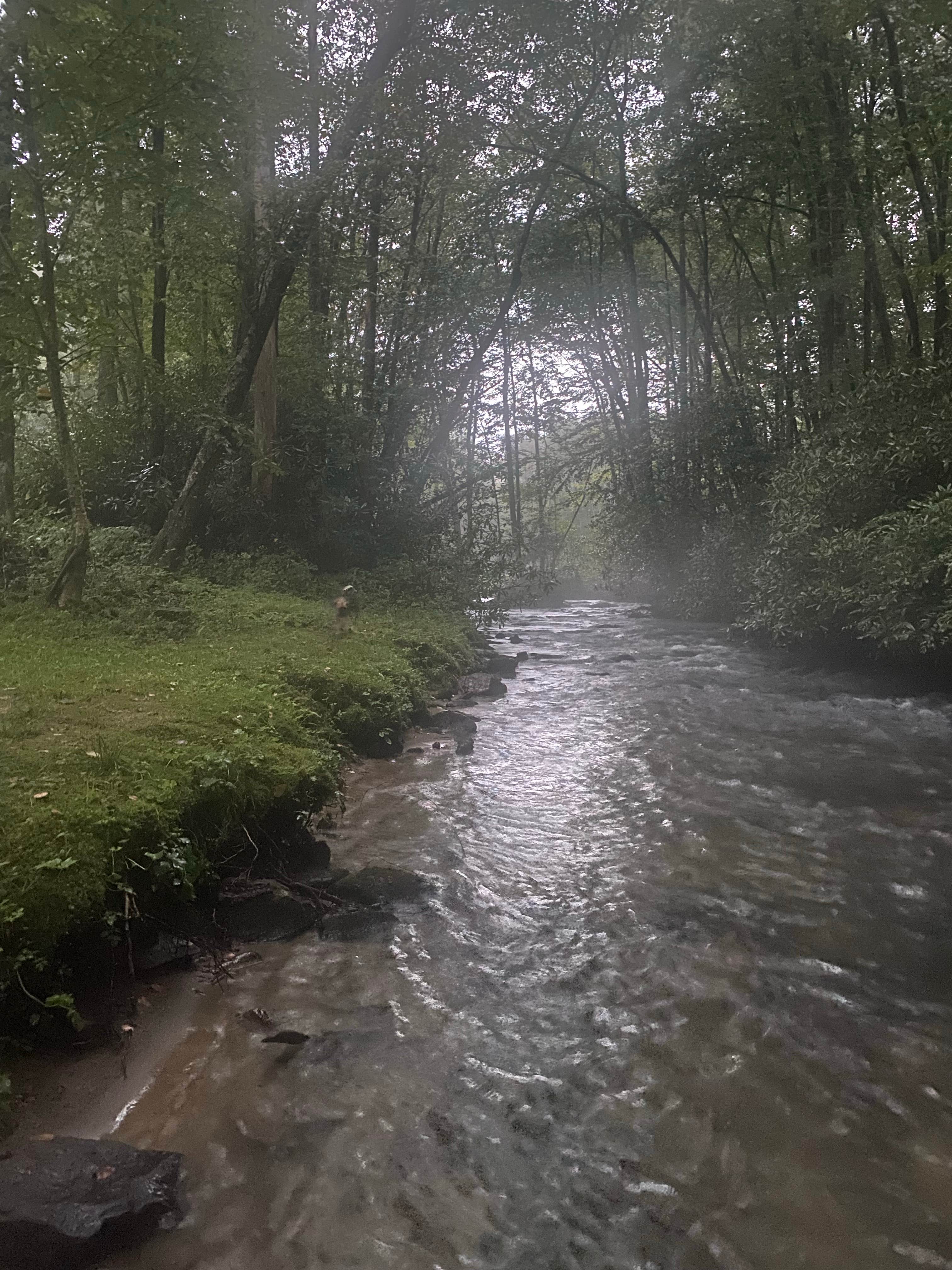 Lil Snowbird Farm Camping | Marble, NC