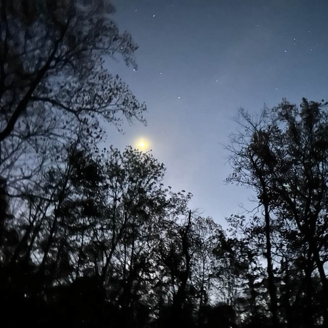 Little Fort Campground | Woodstock, Virginia