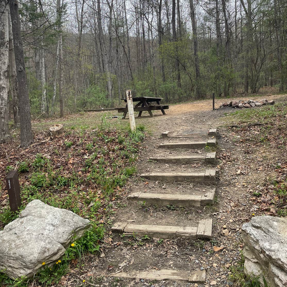 Little Fort Campground | Woodstock, Virginia