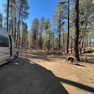 Little Green Valley - NF405A Dispersed Camping | Sun Valley, Arizona