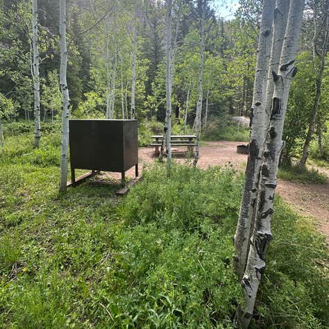 Little Mattie Campground — White River National Forest | Meredith, Colorado