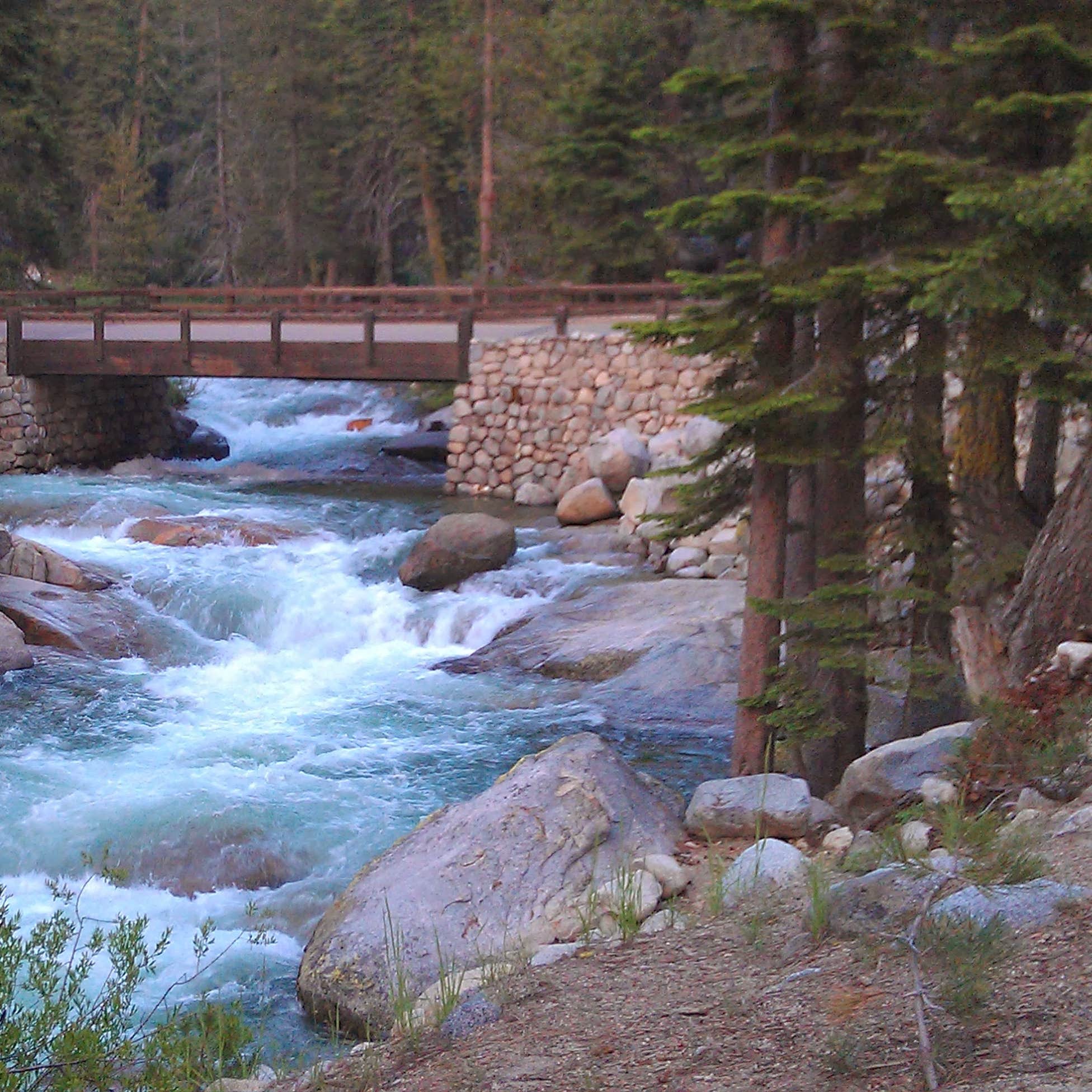 Lodgepole Campground | Emigrant Gap, California