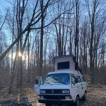 Loleta Road Dispersed Campsite | Marienville, Pennsylvania