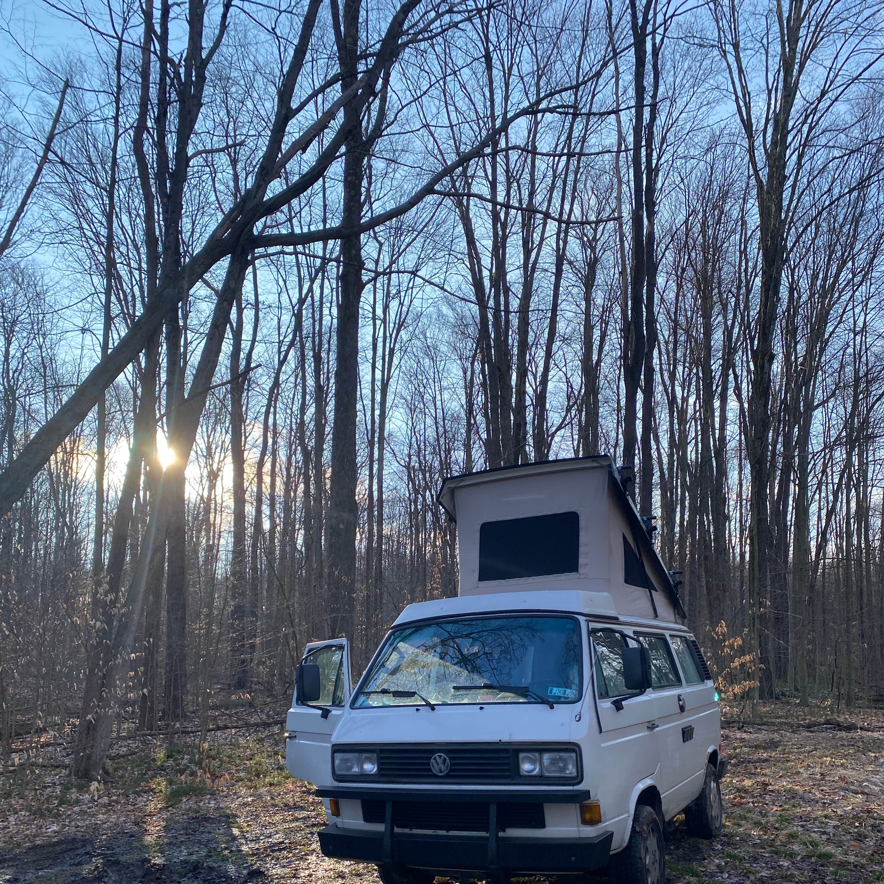 Loleta Road Dispersed Campsite | Marienville, Pennsylvania