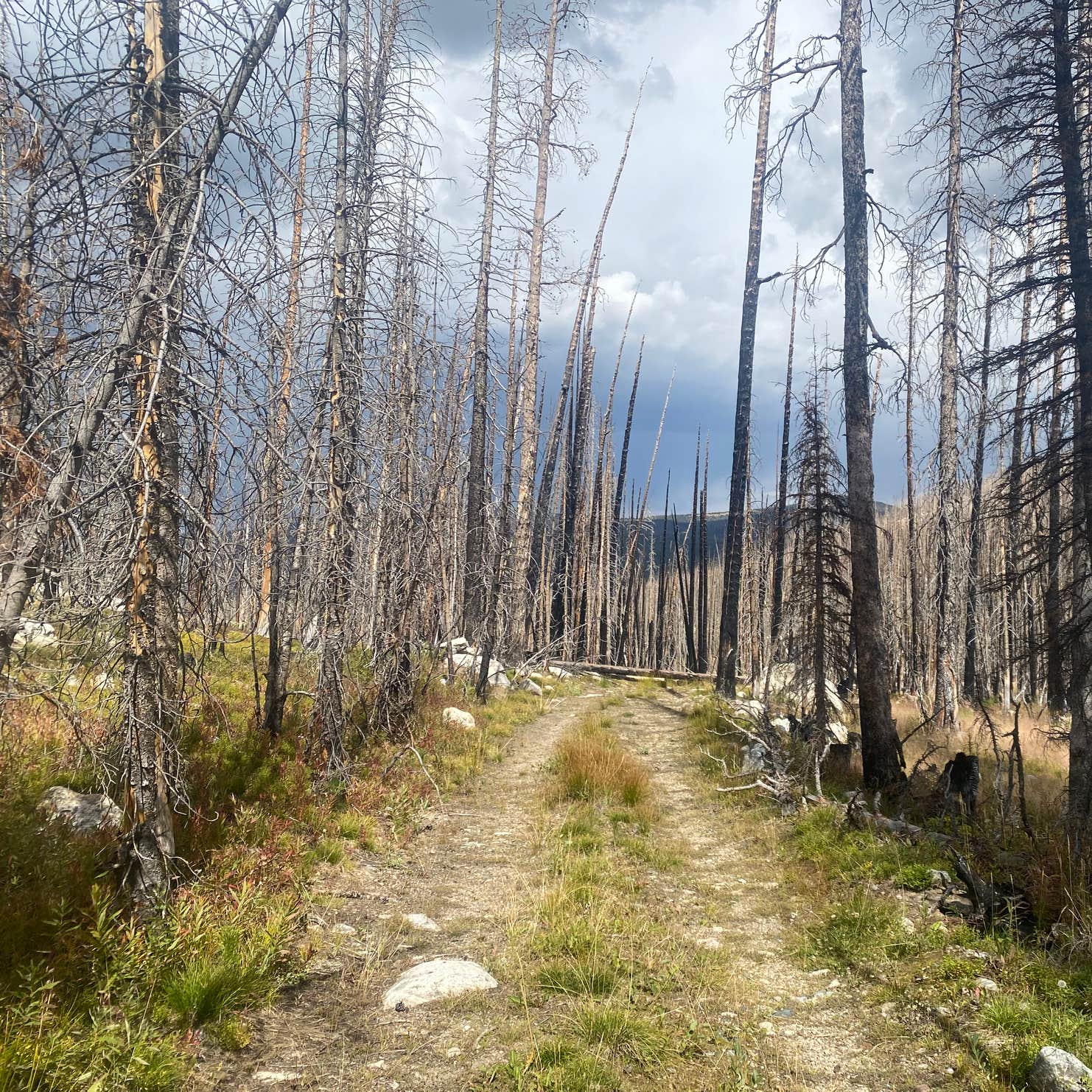 Long Draw Reservoir Dispersed Camping | Gould, Colorado