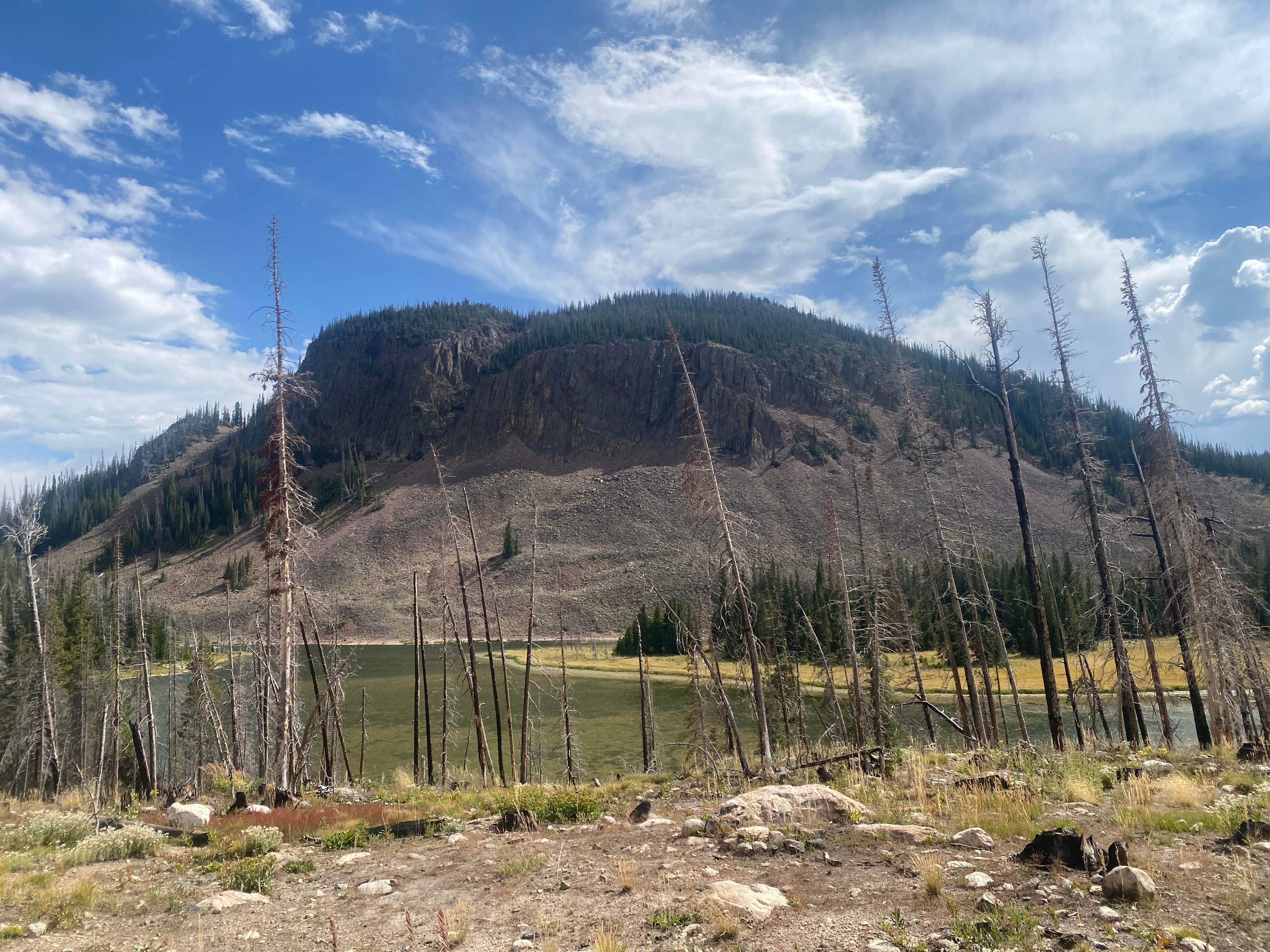 Long Draw Reservoir Dispersed Camping | Gould, Colorado